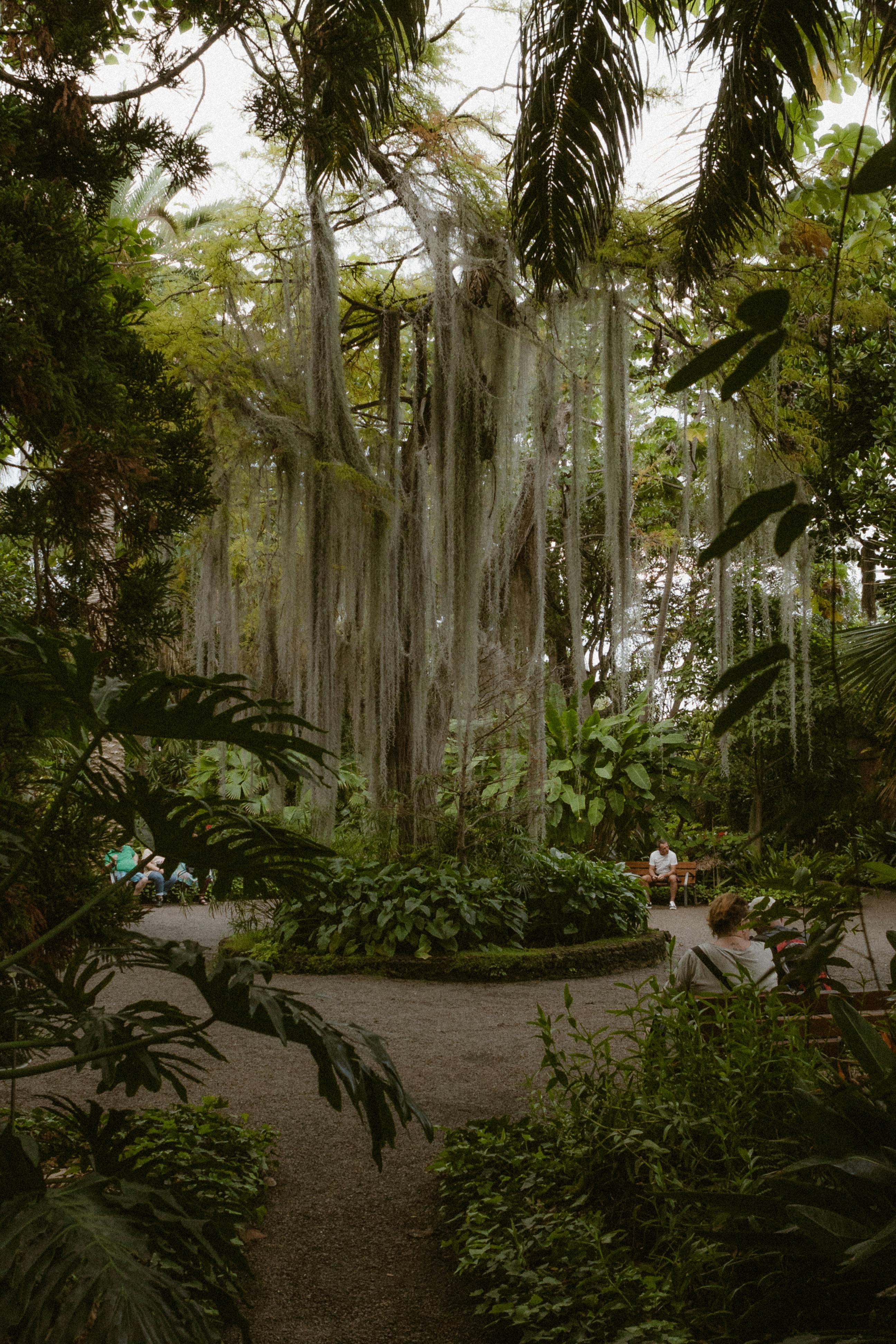 Tall Folder Photos, Download The BEST Free Tall Folder Stock Photos ...