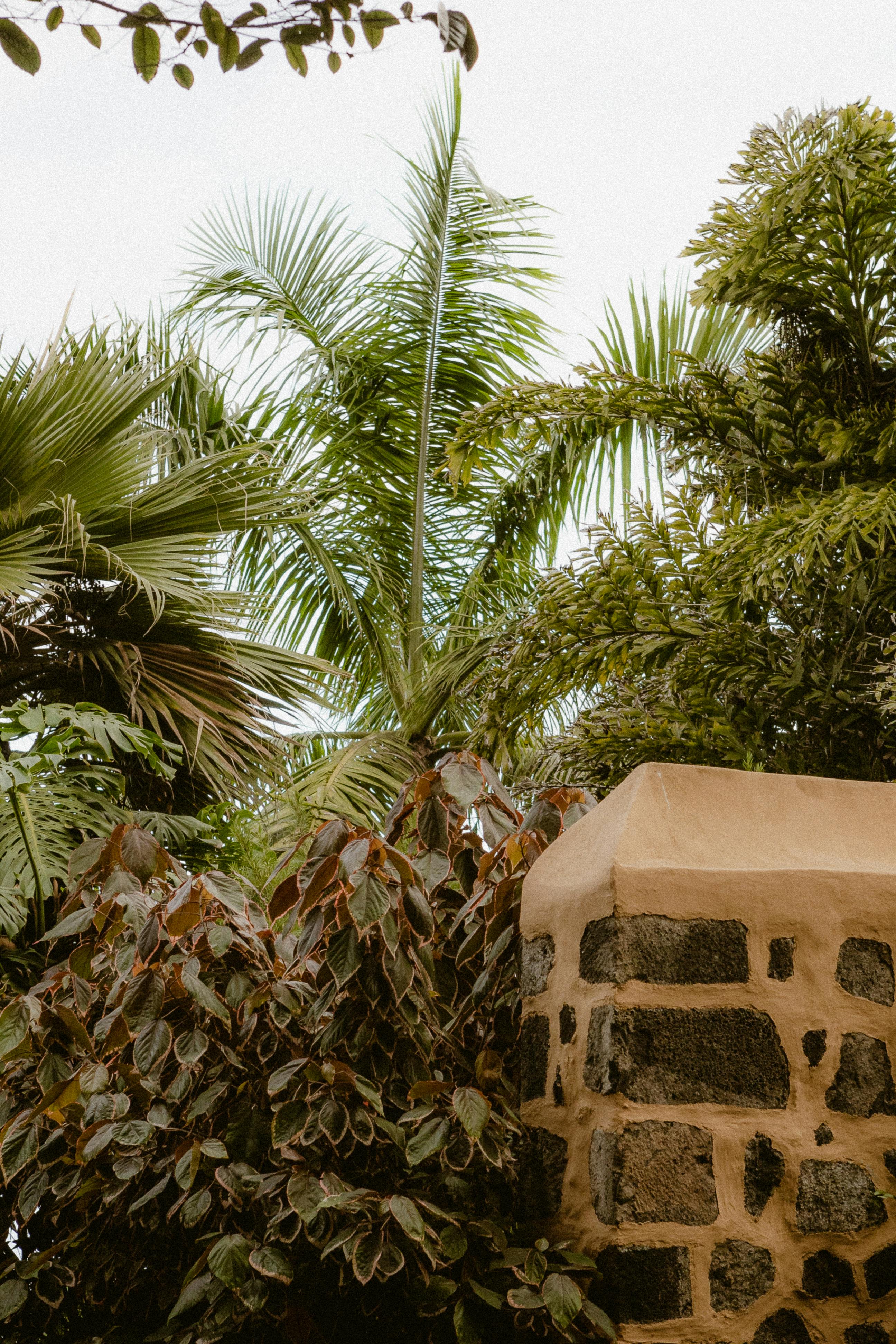 Wall Insulation Photos, Download The BEST Free Wall Insulation Stock ...