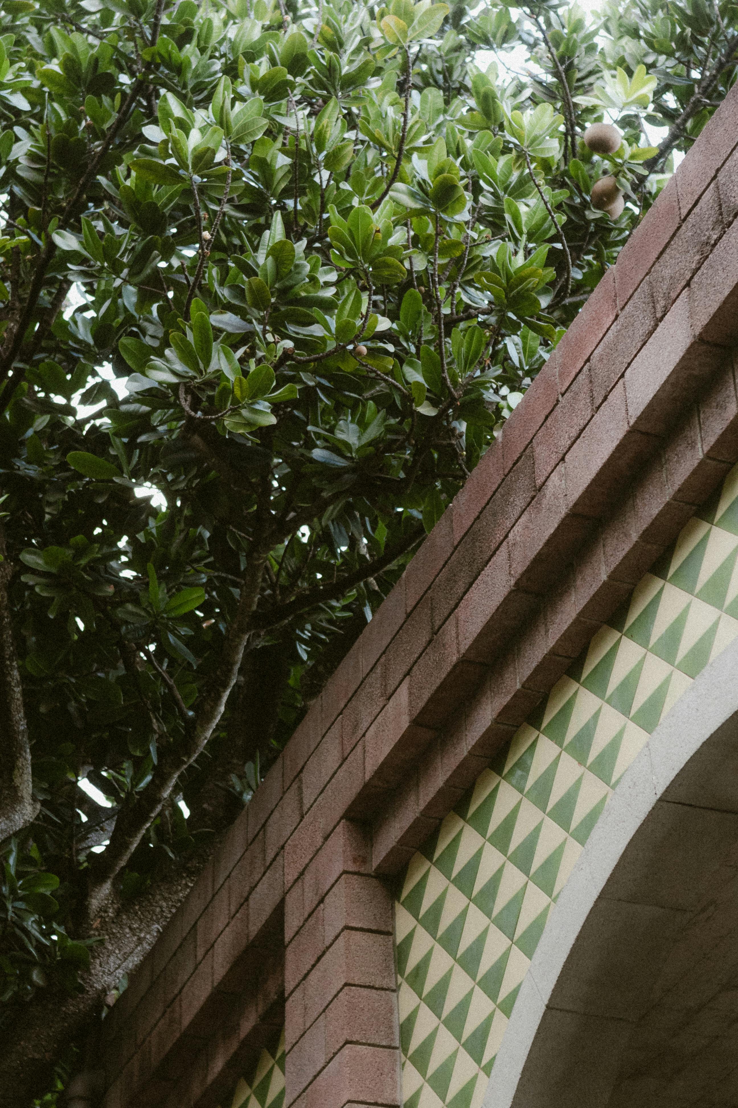 Wall Insulation Photos, Download The BEST Free Wall Insulation Stock ...