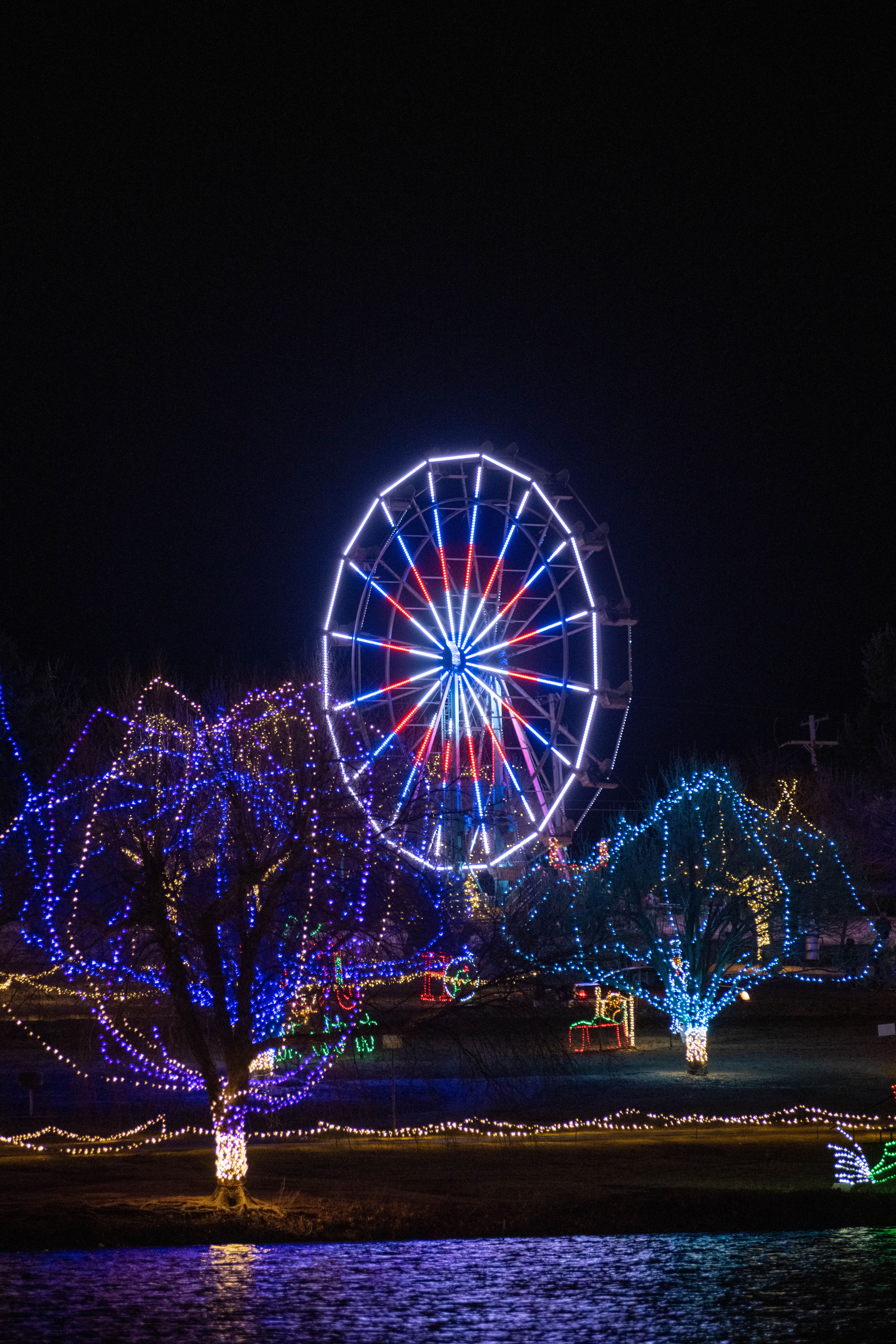 Illuminated Trees and Ferries Wheel · Free Stock Photo