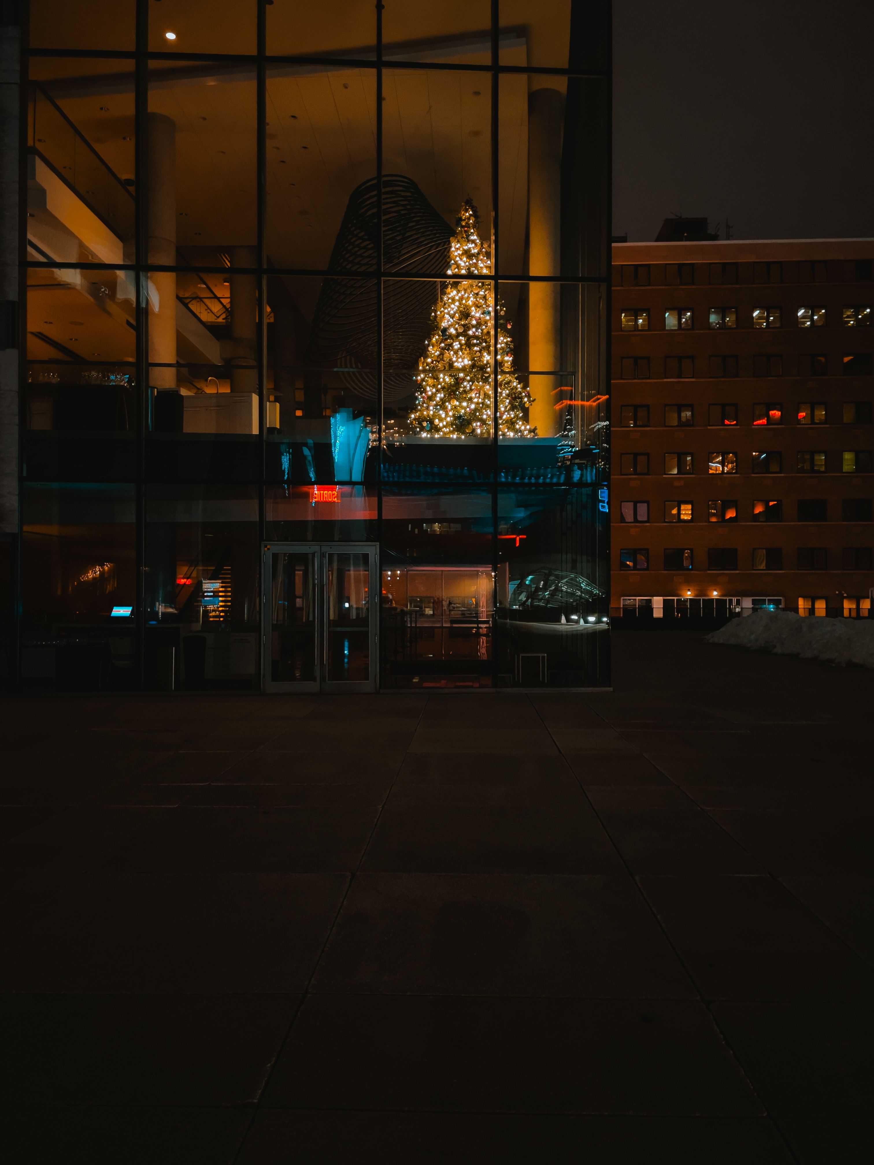 Christmas Tree in Building · Free Stock Photo