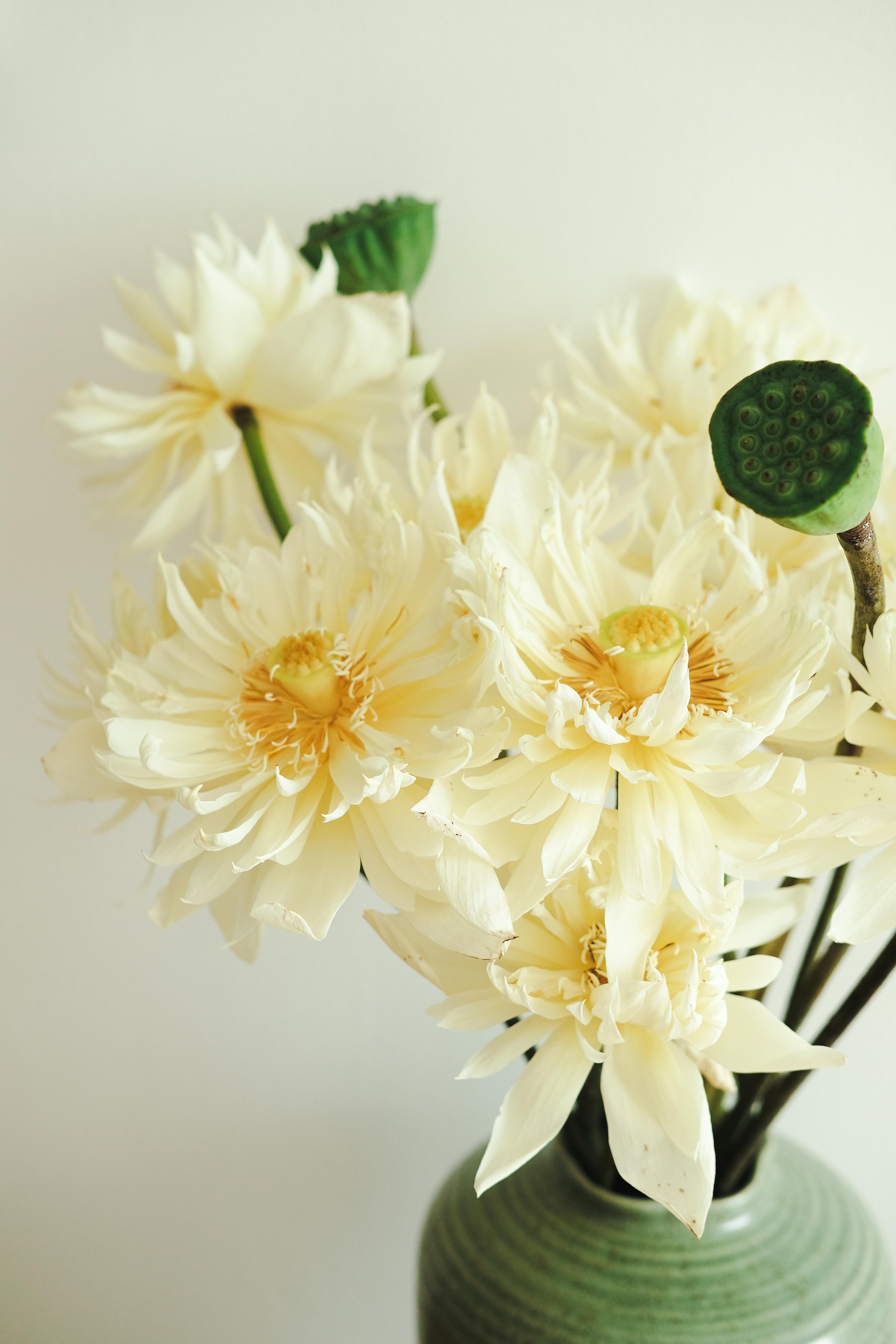 Photo gratuite de affichage floral, arrangement floral, asie, beauté ...