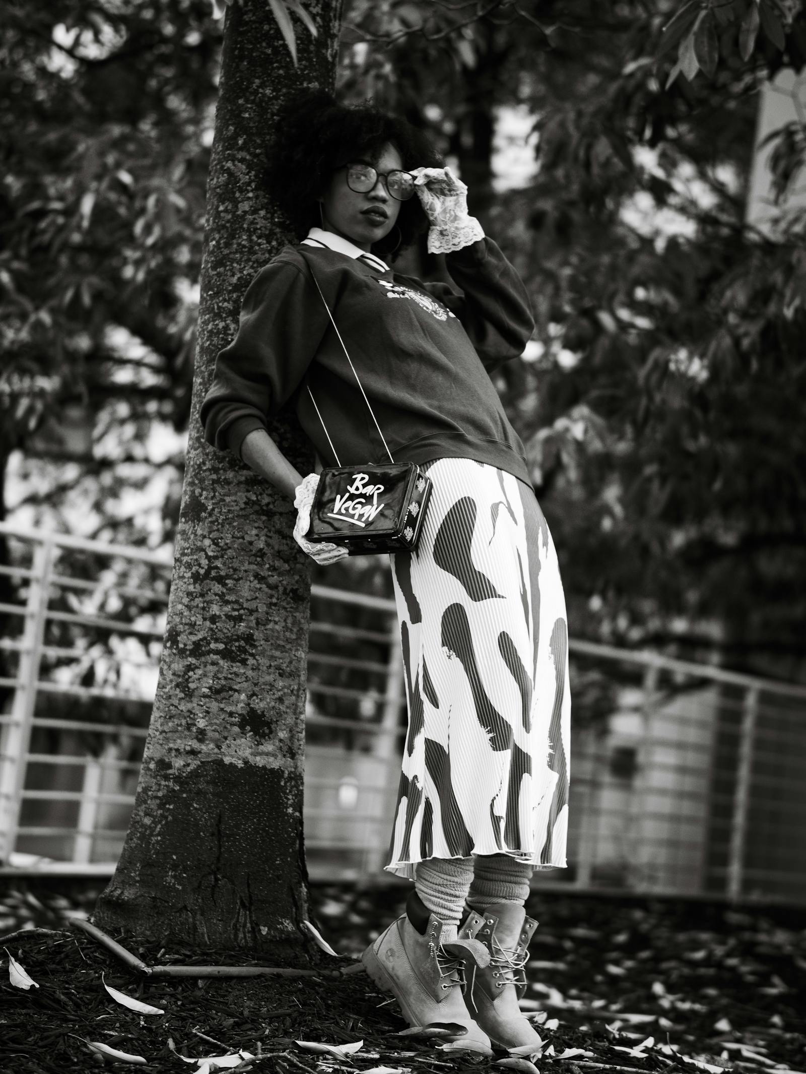 Tree 4k Photos, Download The BEST Free Tree 4k Stock Photos & HD Images