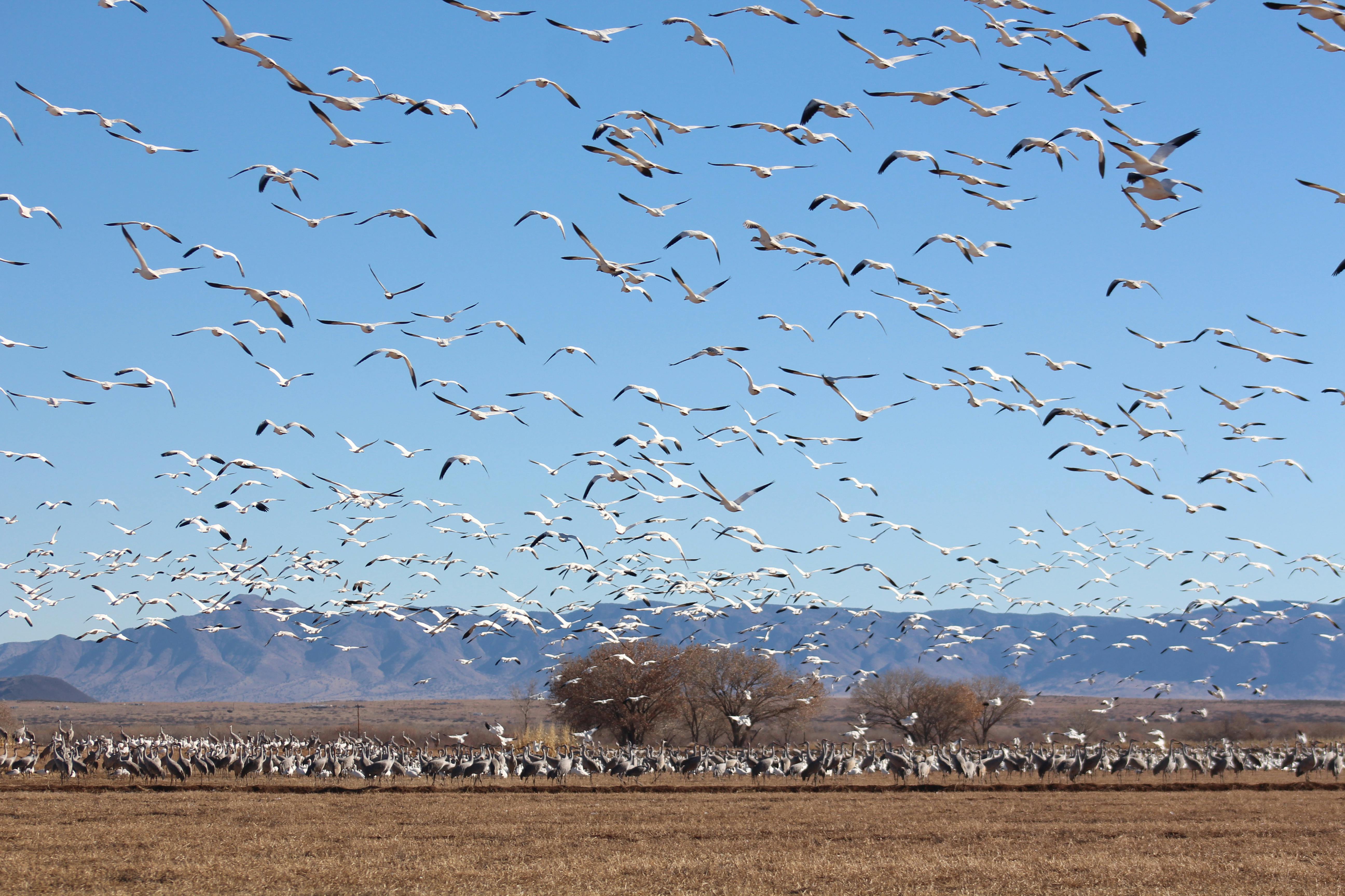 New Photos - Photography