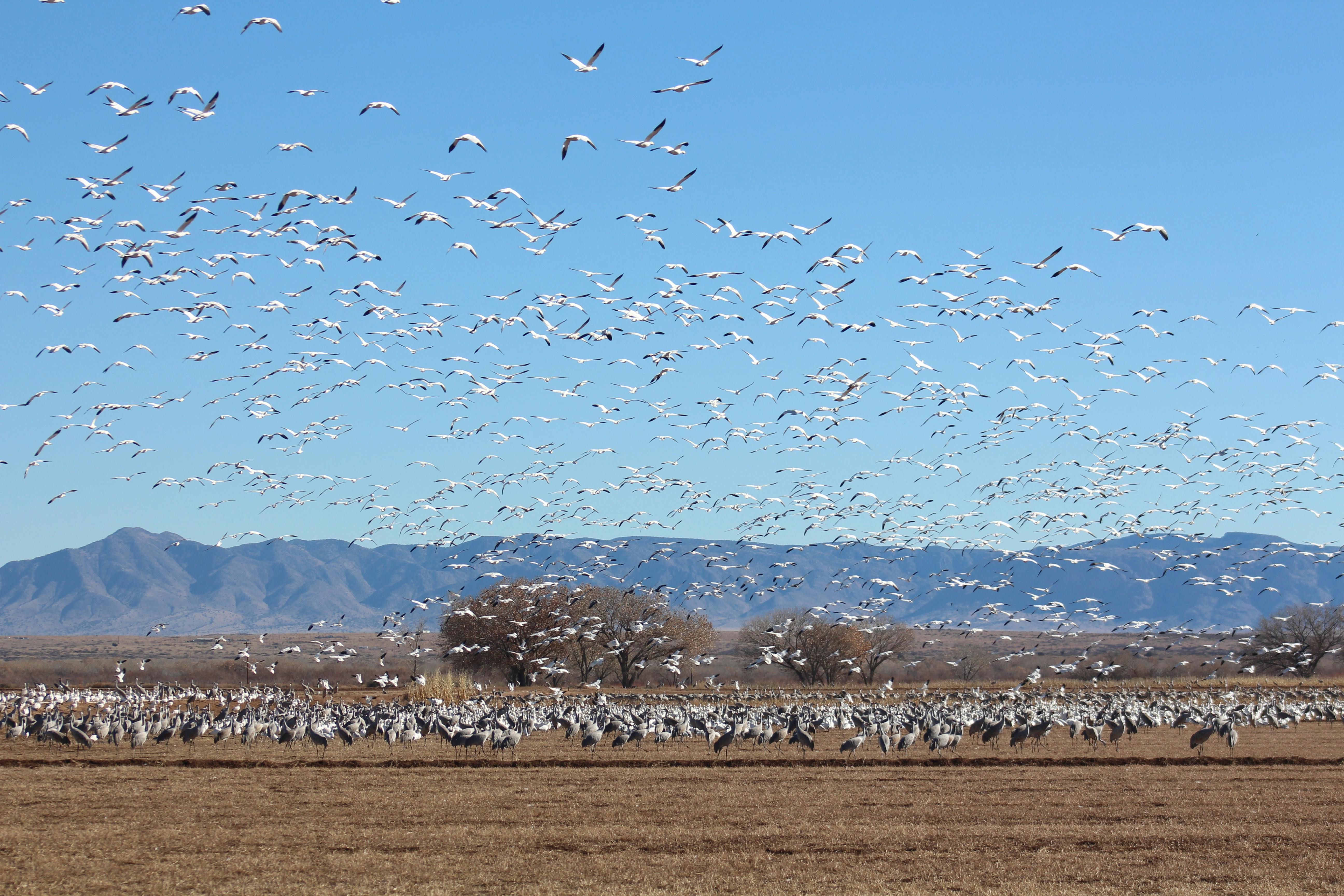 New Photos - Photography