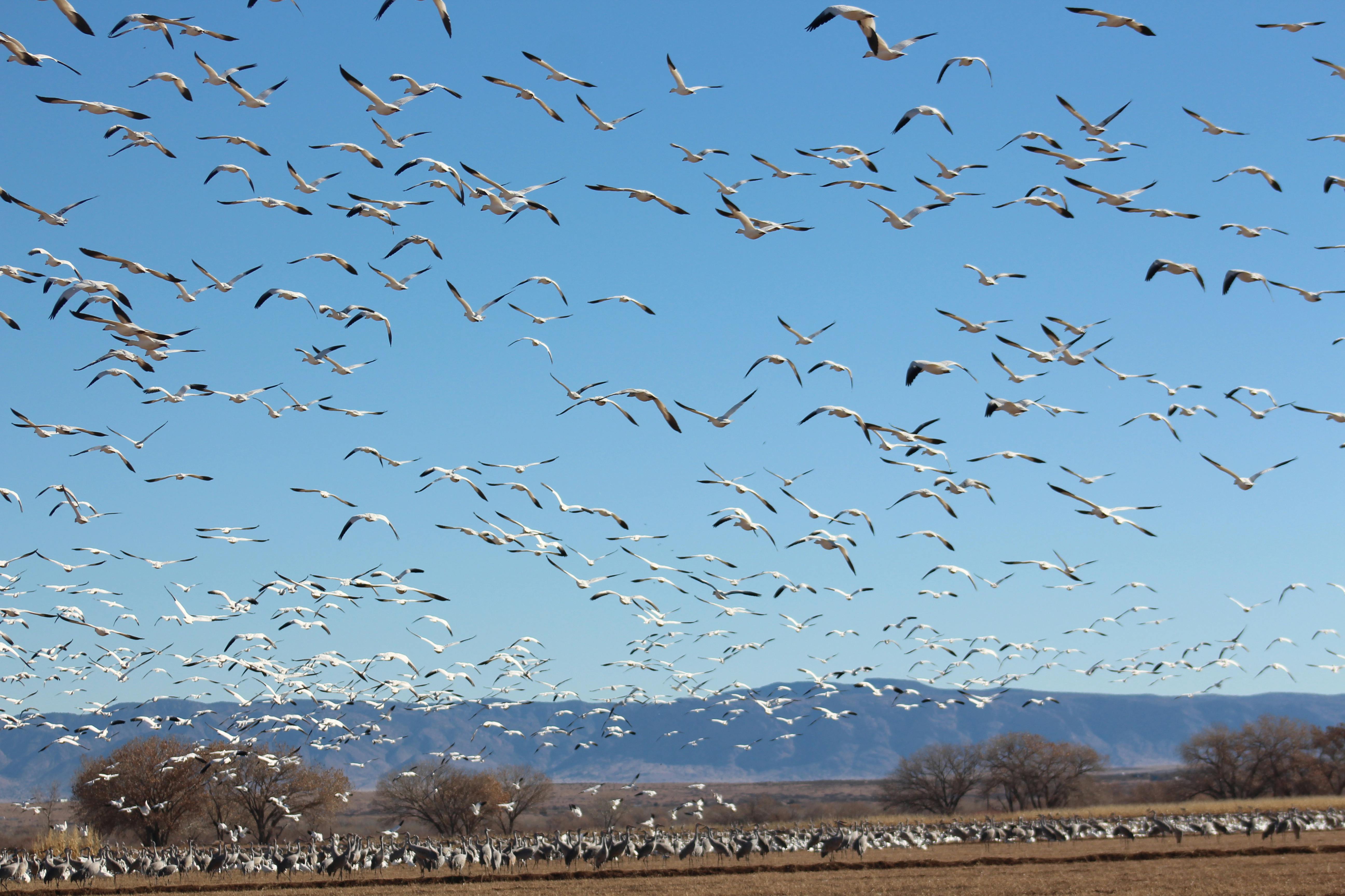 New Photos - Photography