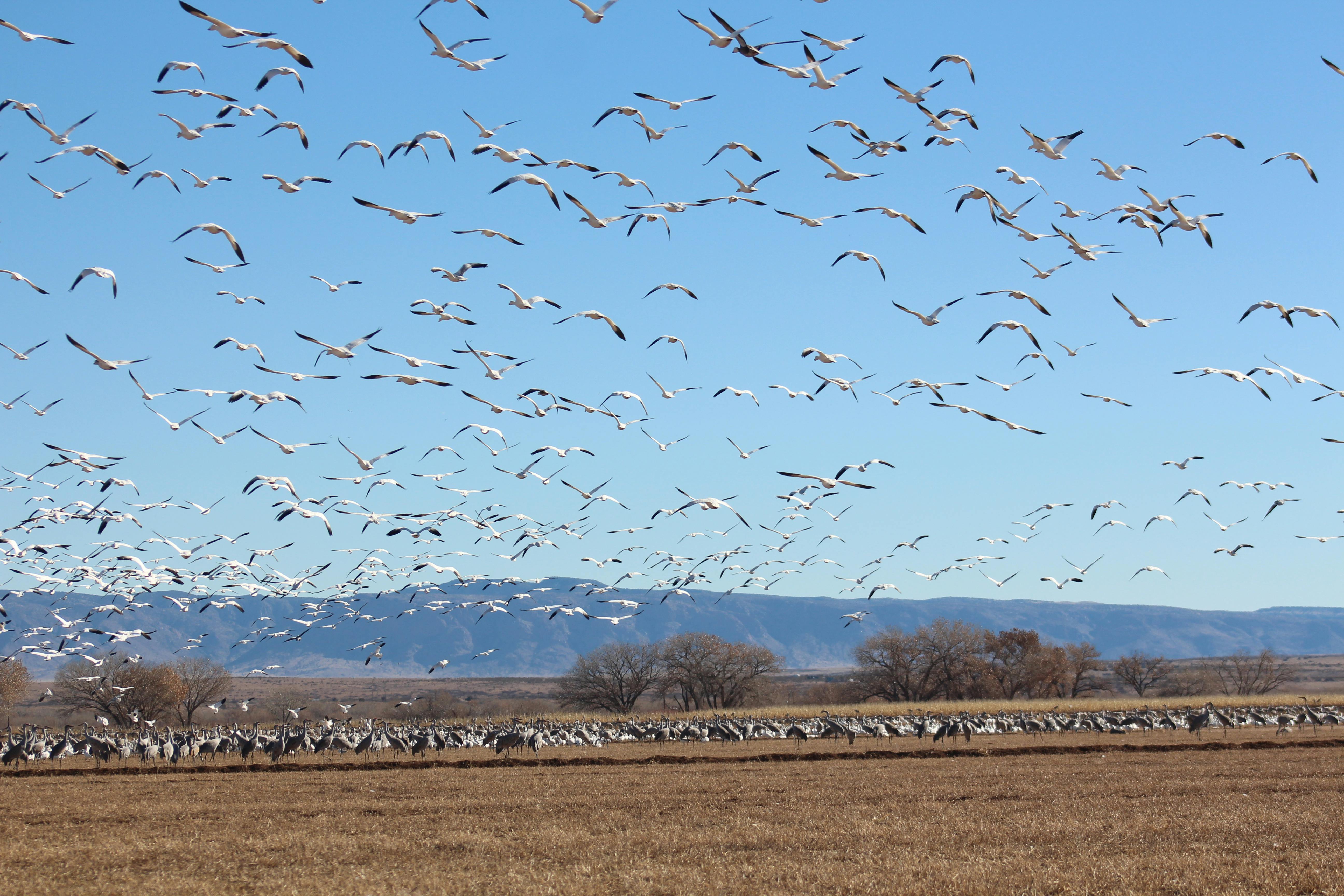 New Photos - Photography