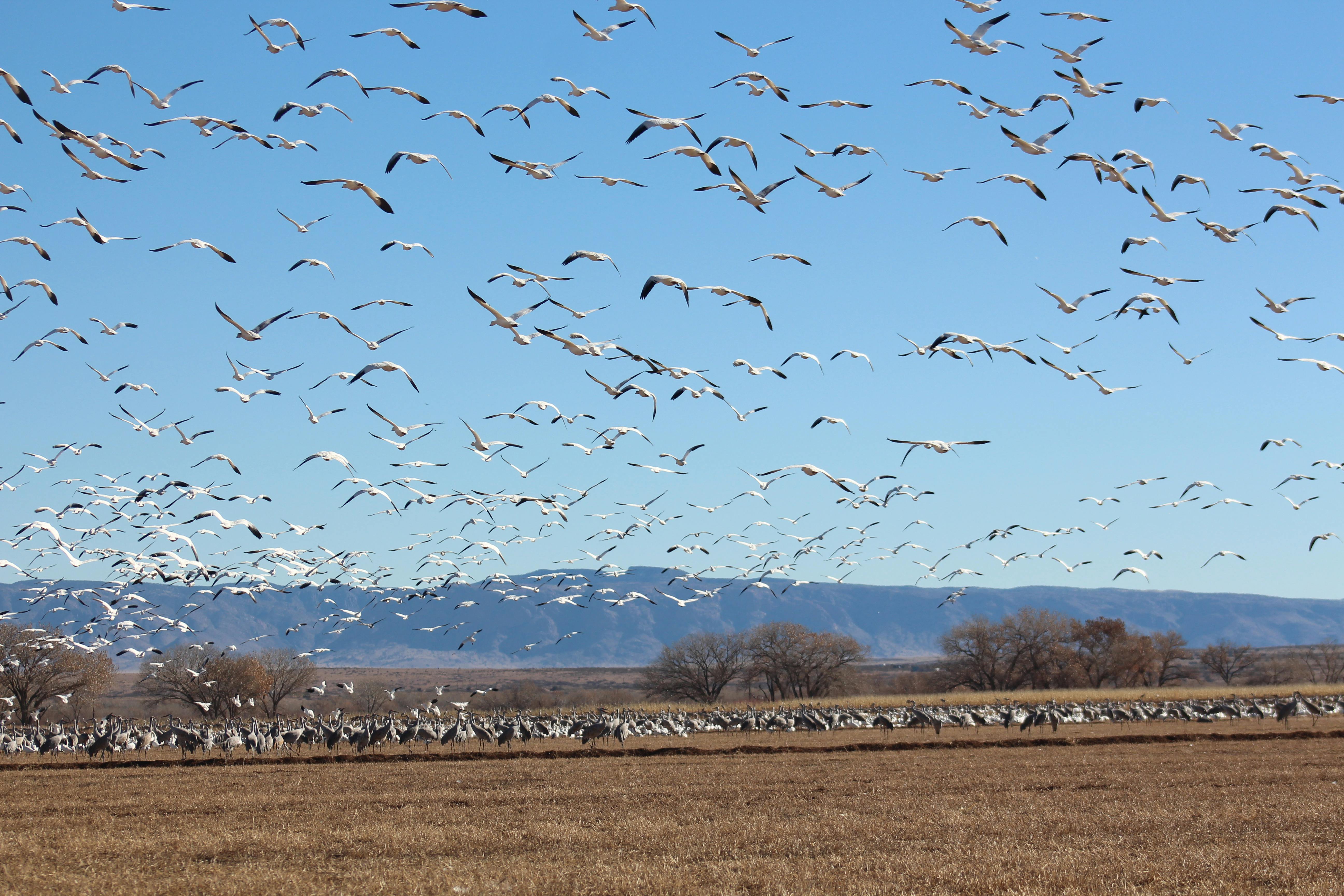 New Photos - Photography