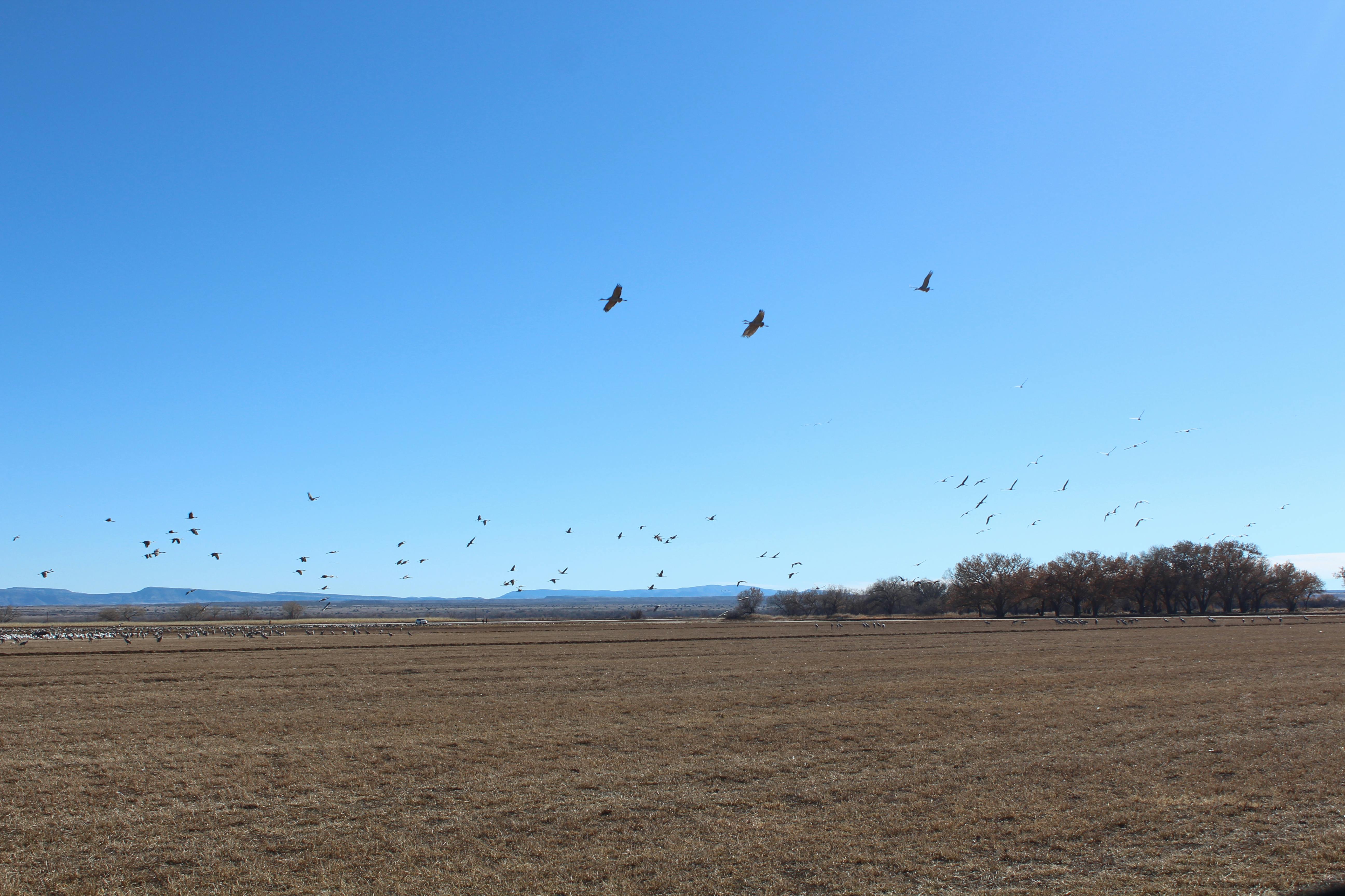 New Photos - Photography