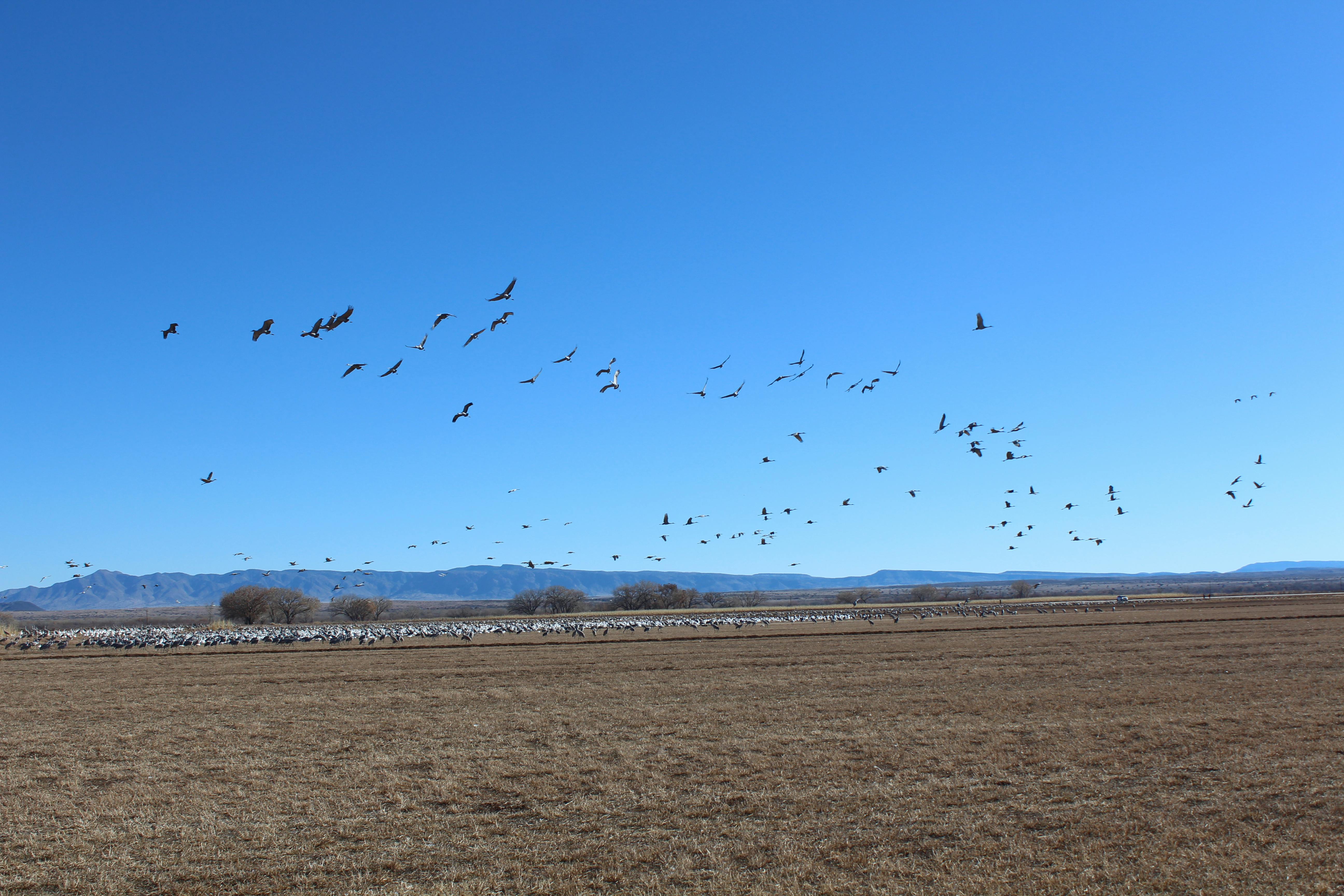 New Photos - Photography