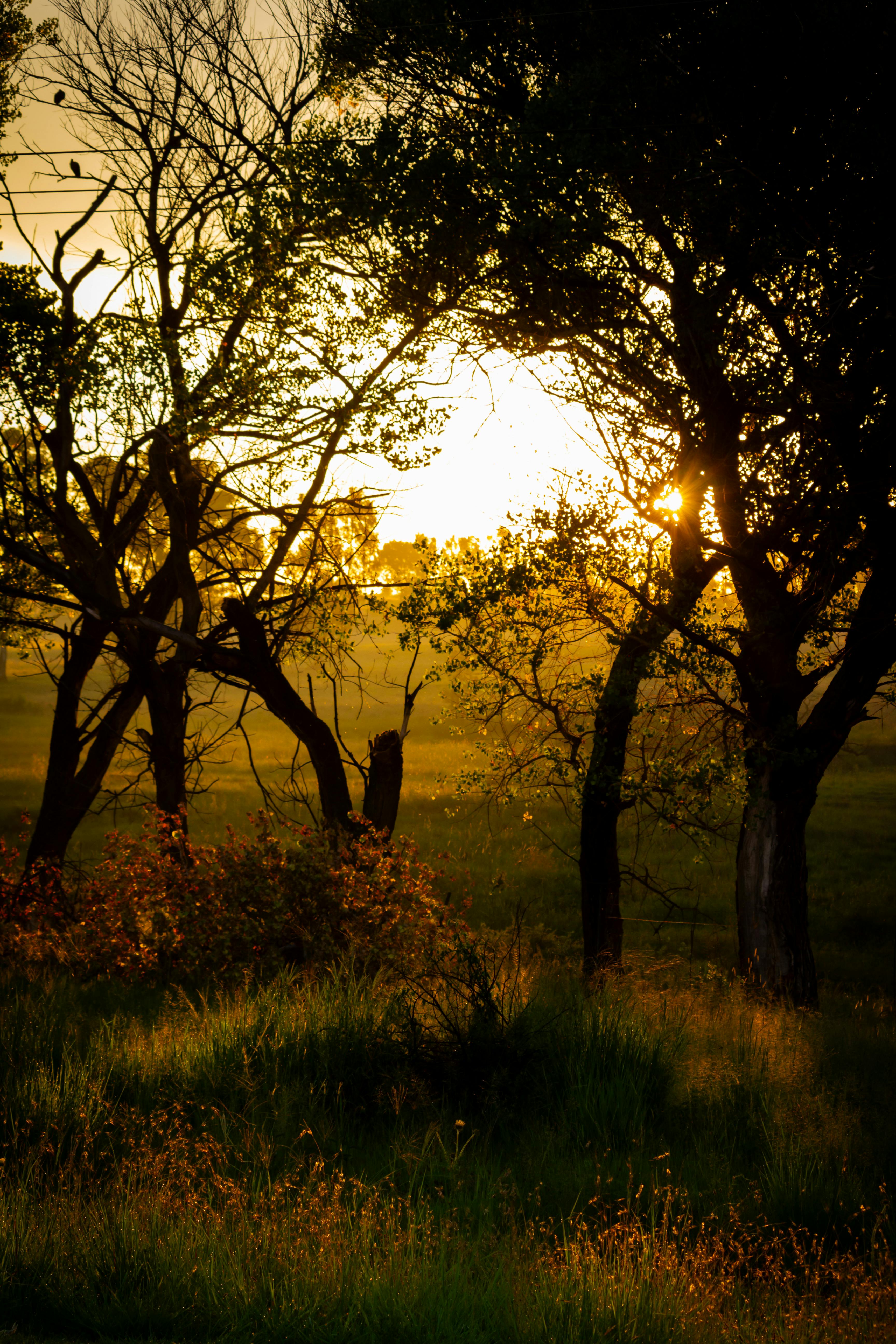 Michelle Hart - Photographie