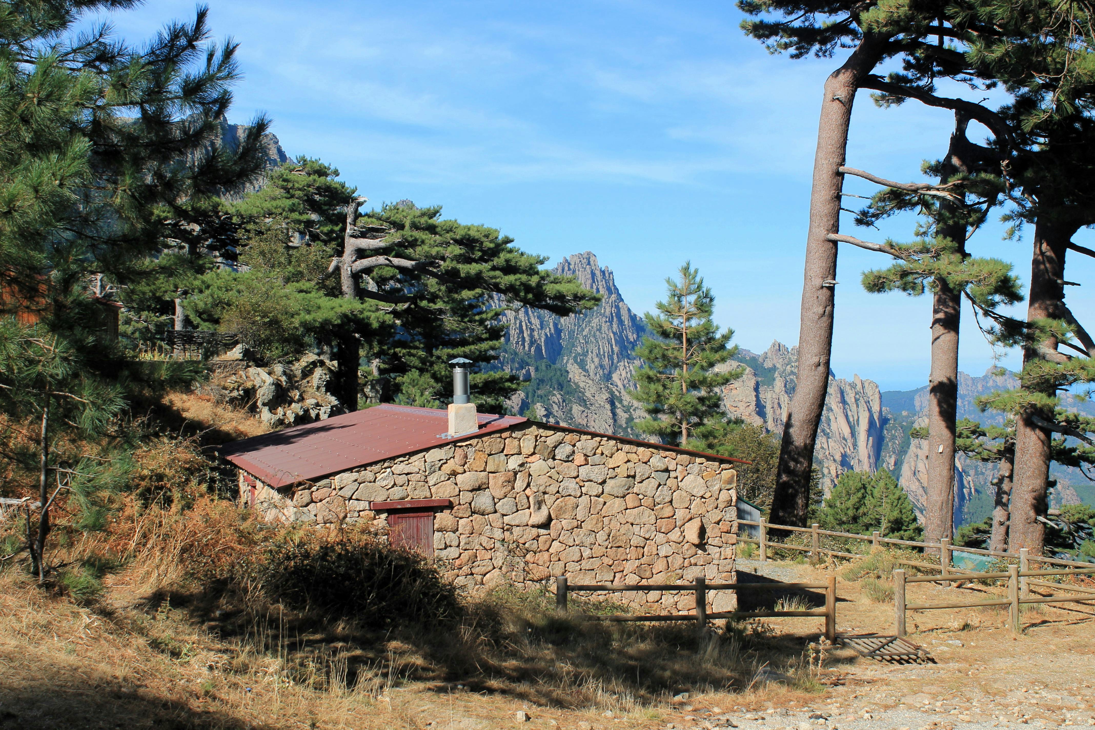 Pine Number Photos, Download The BEST Free Pine Number Stock Photos ...