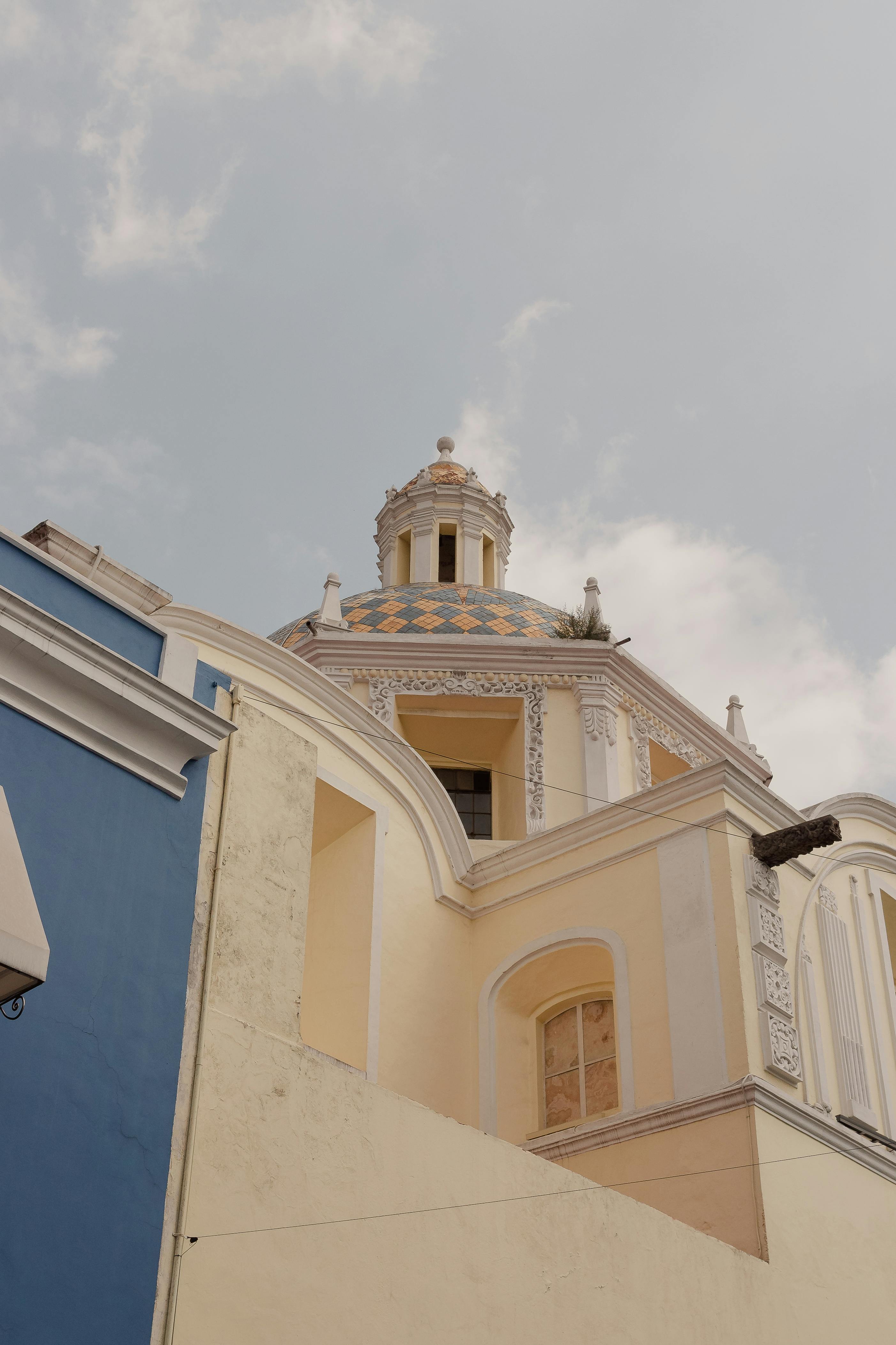 Tica Photos, Download The BEST Free Tica Stock Photos & HD Images