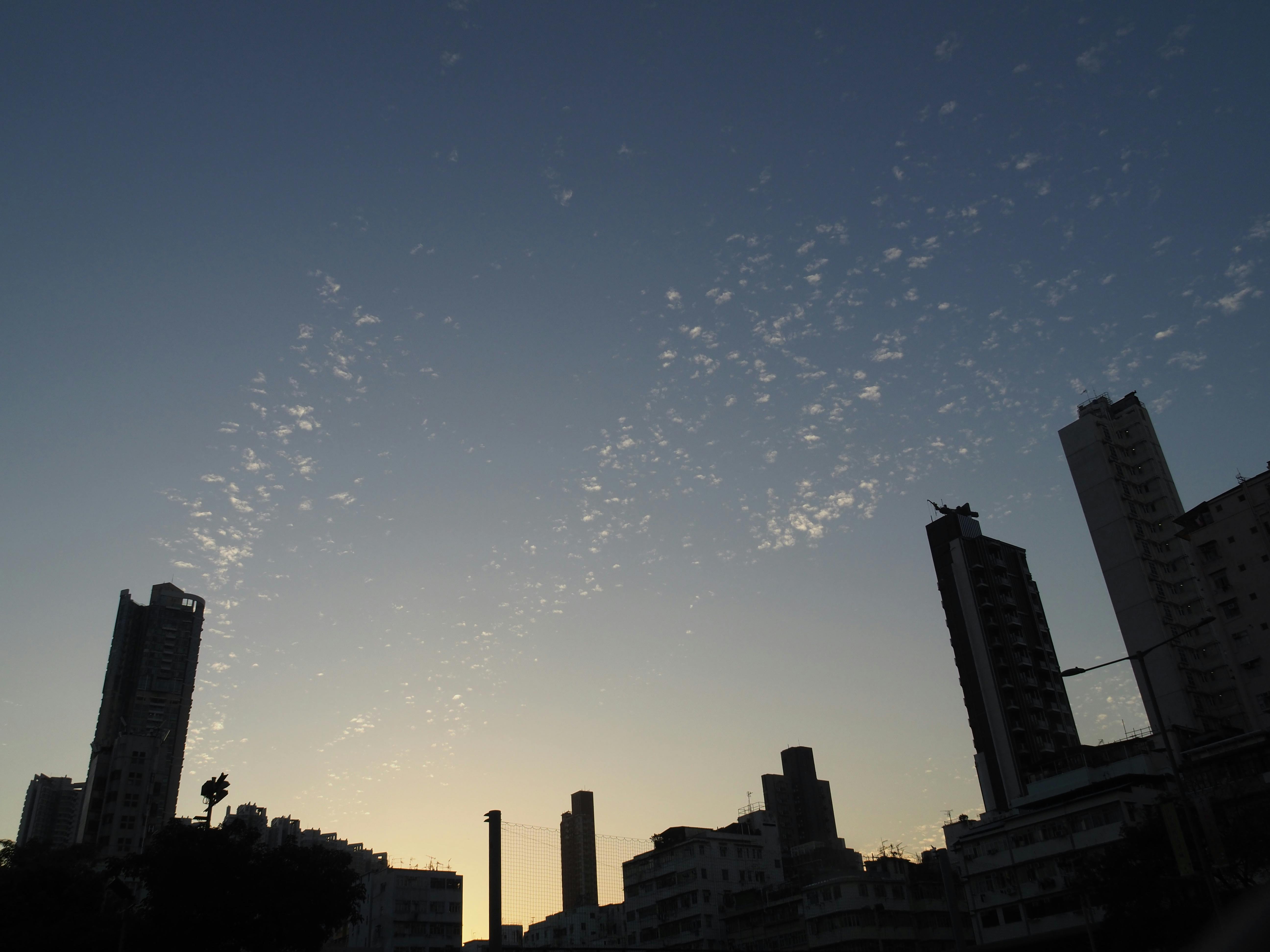 terry narcissan tsui - Fotografie