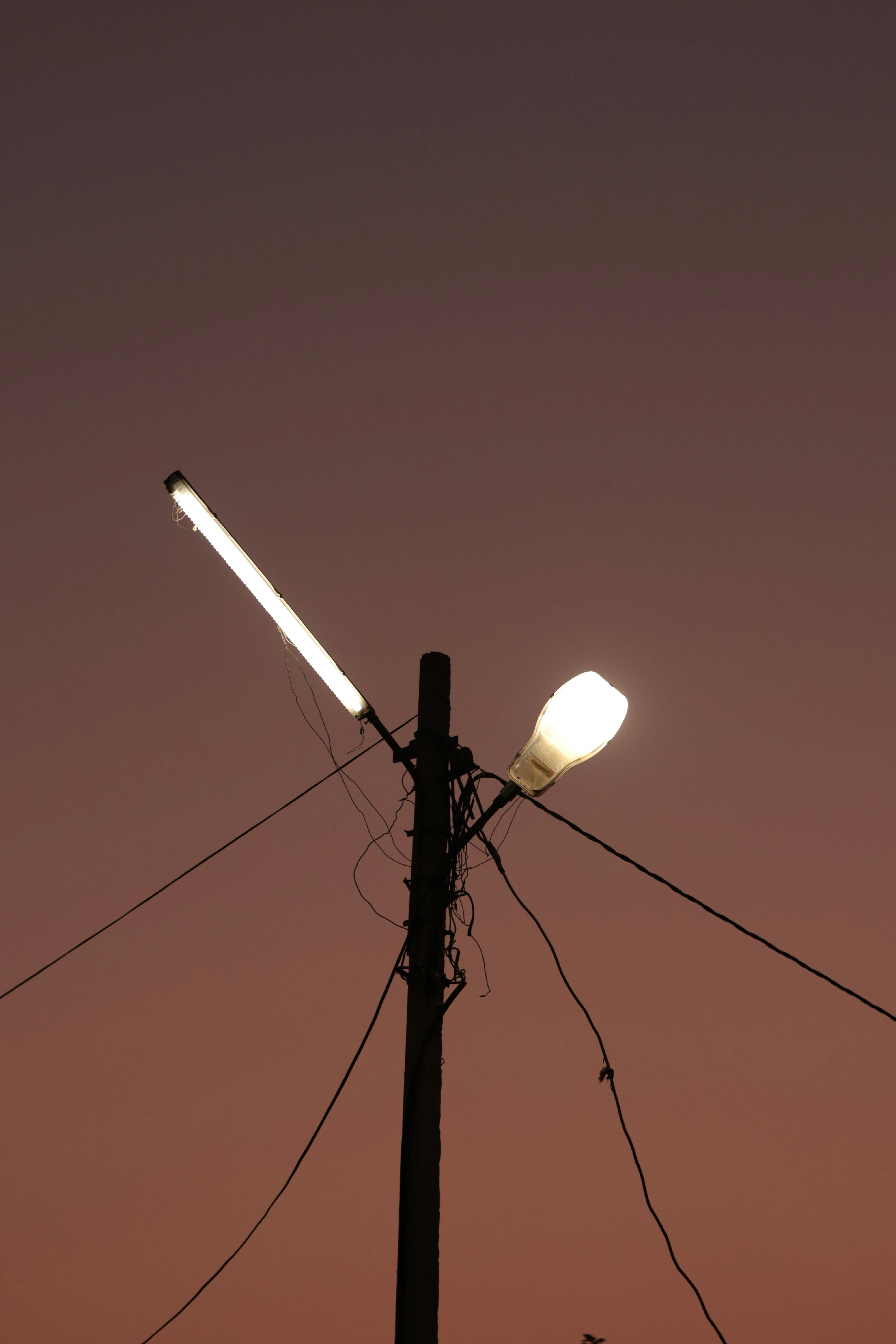 Shivansh Sharma - 摄影