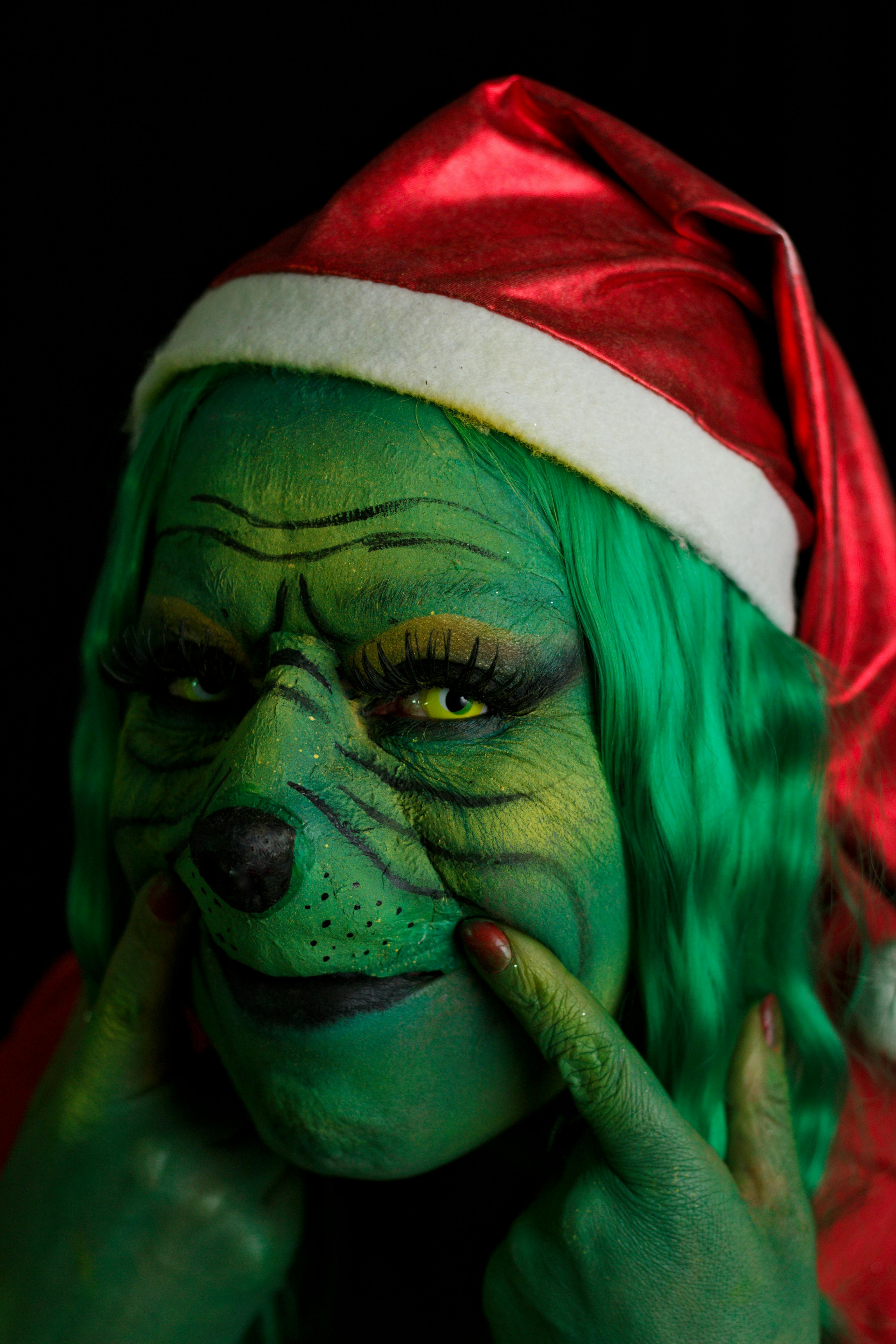 Portrait of Grinch in Santa Hat · Free Stock Photo