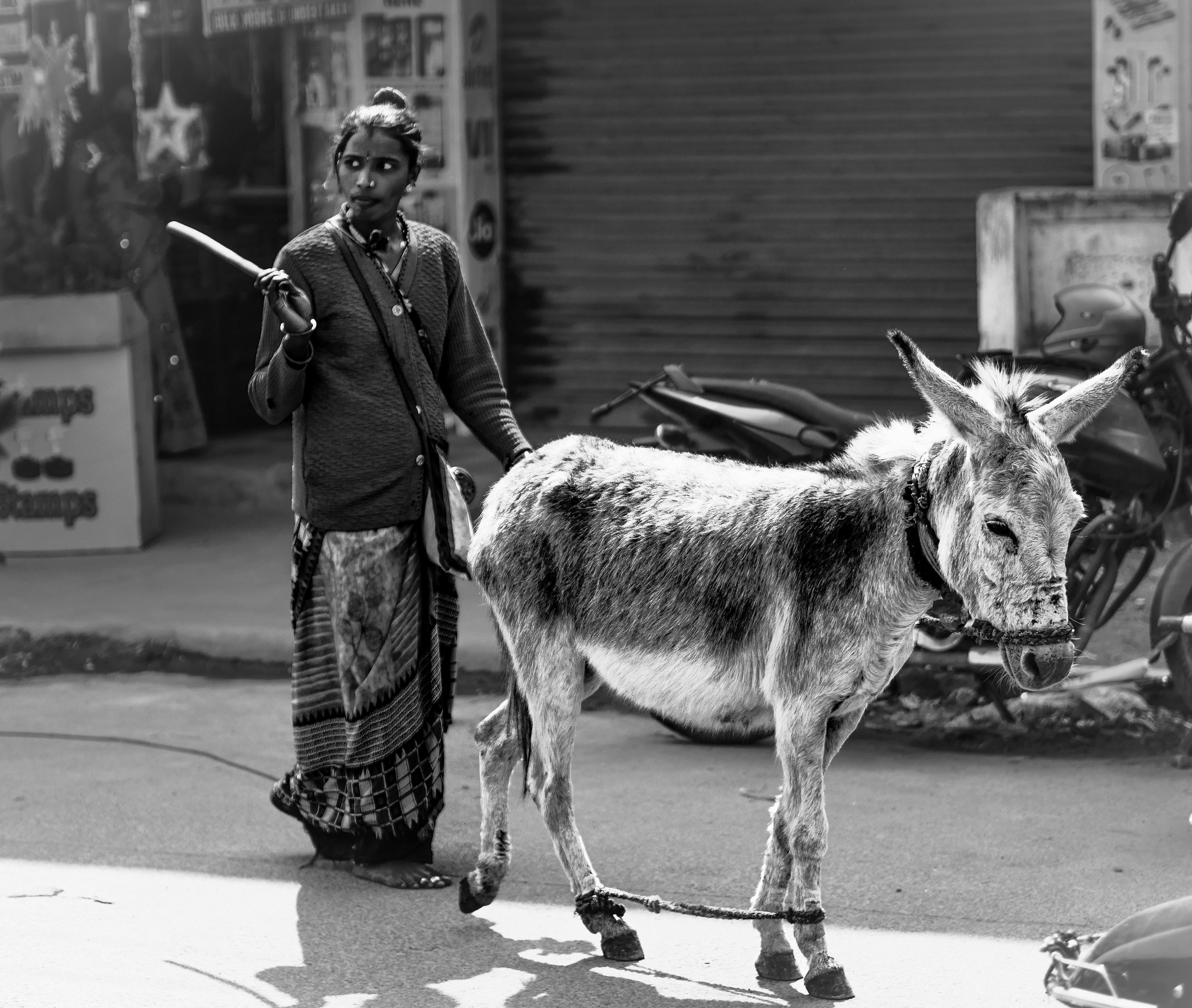 Shiva Kumar Reddy - Photography