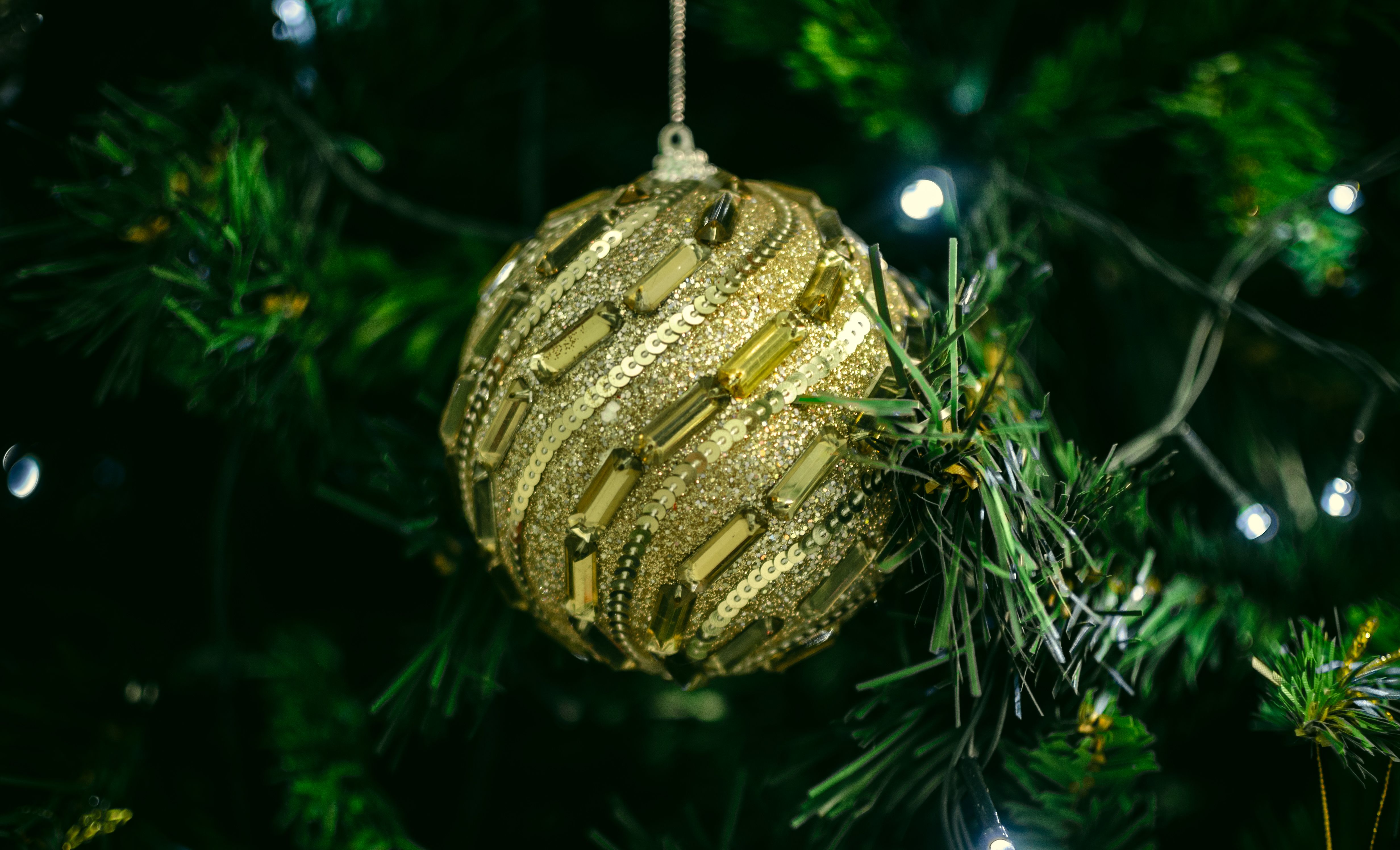 Christmas Backdrops Photos, Download The BEST Free Christmas Backdrops ...
