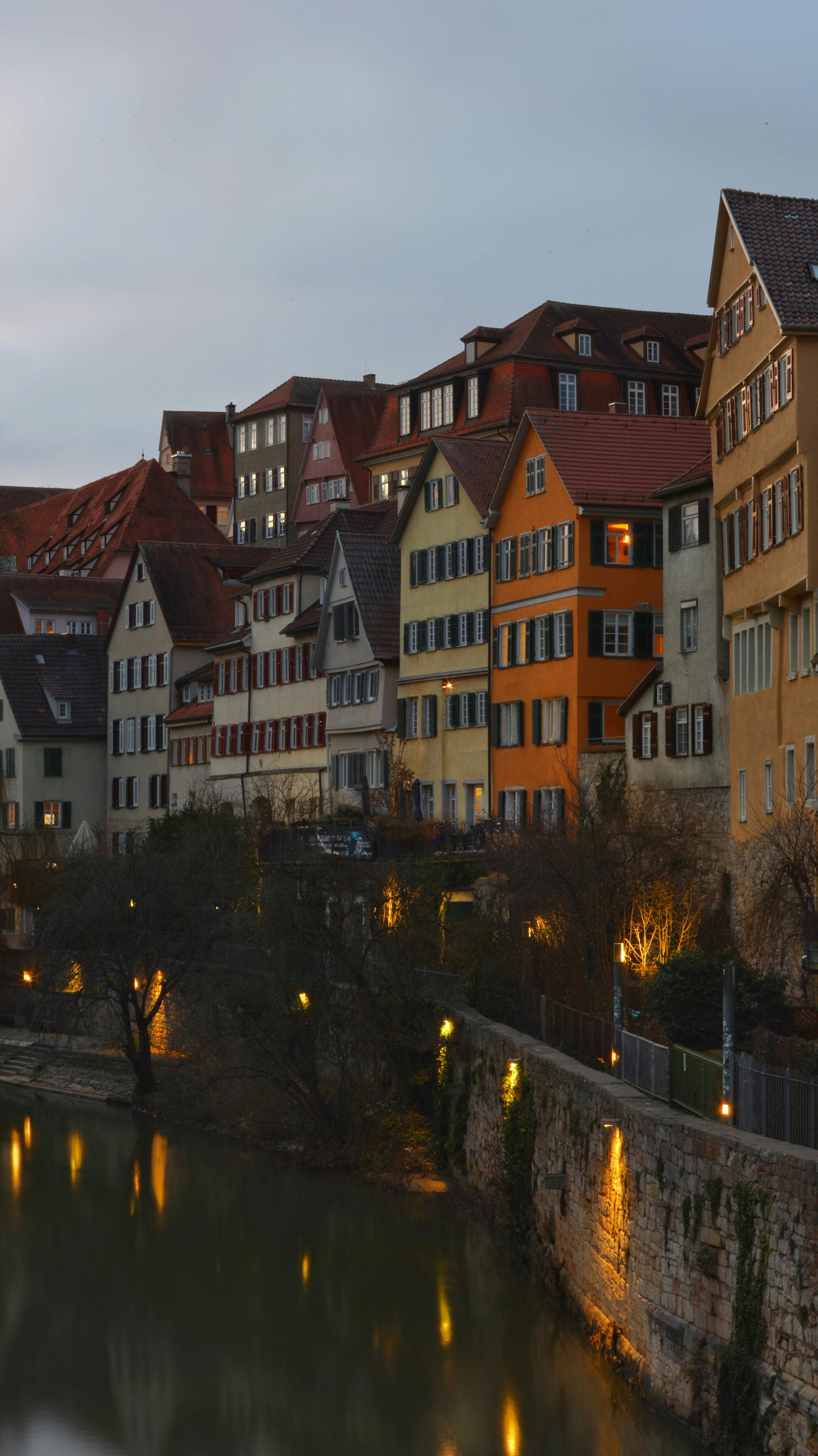 100,000+张最精彩的“Horses Lock Screen Wallpaper”图片 · 100%免费下载 · Pexels素材图片