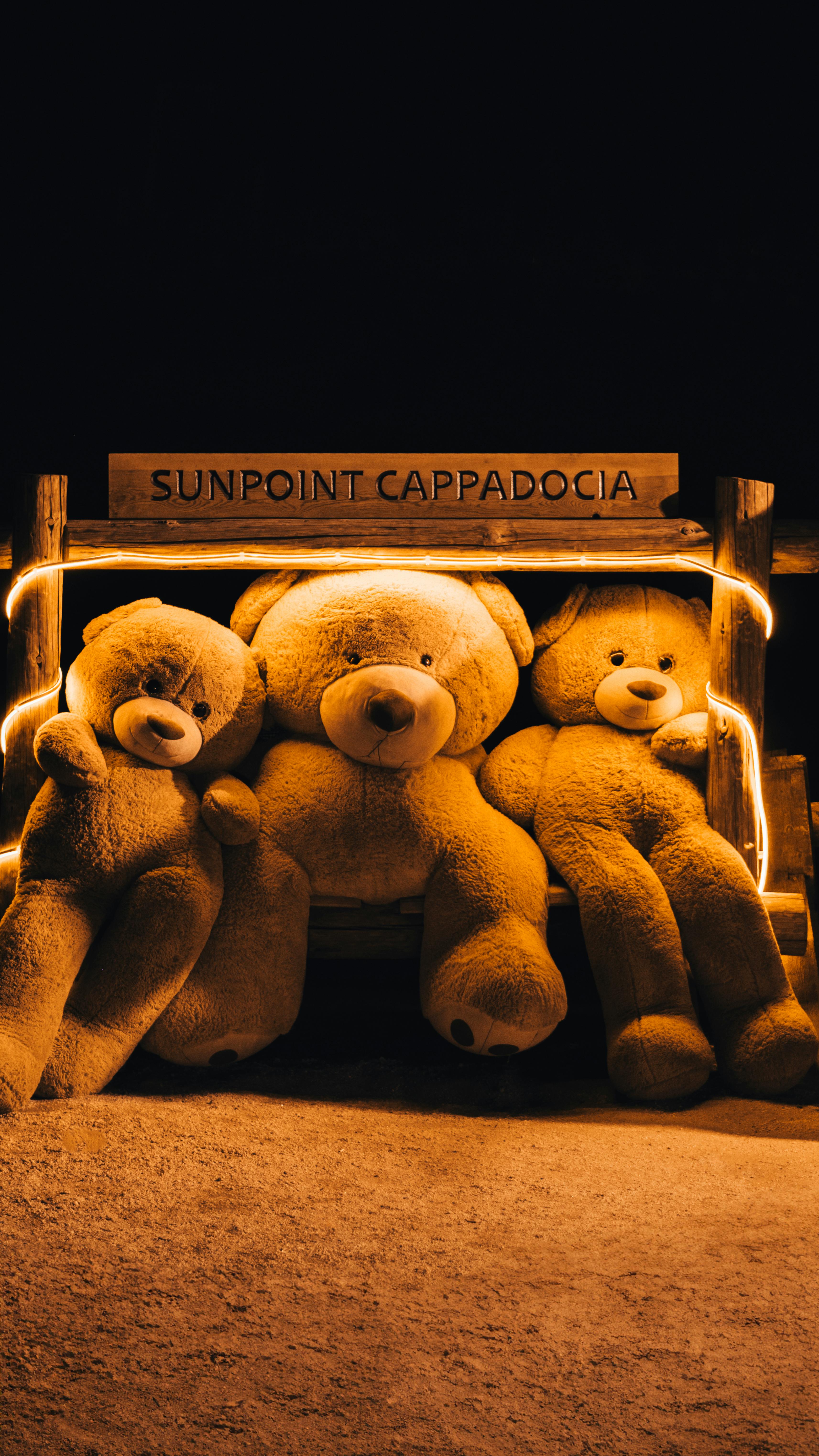 Cheat Toy Photos, Download The BEST Free Cheat Toy Stock Photos & HD Images