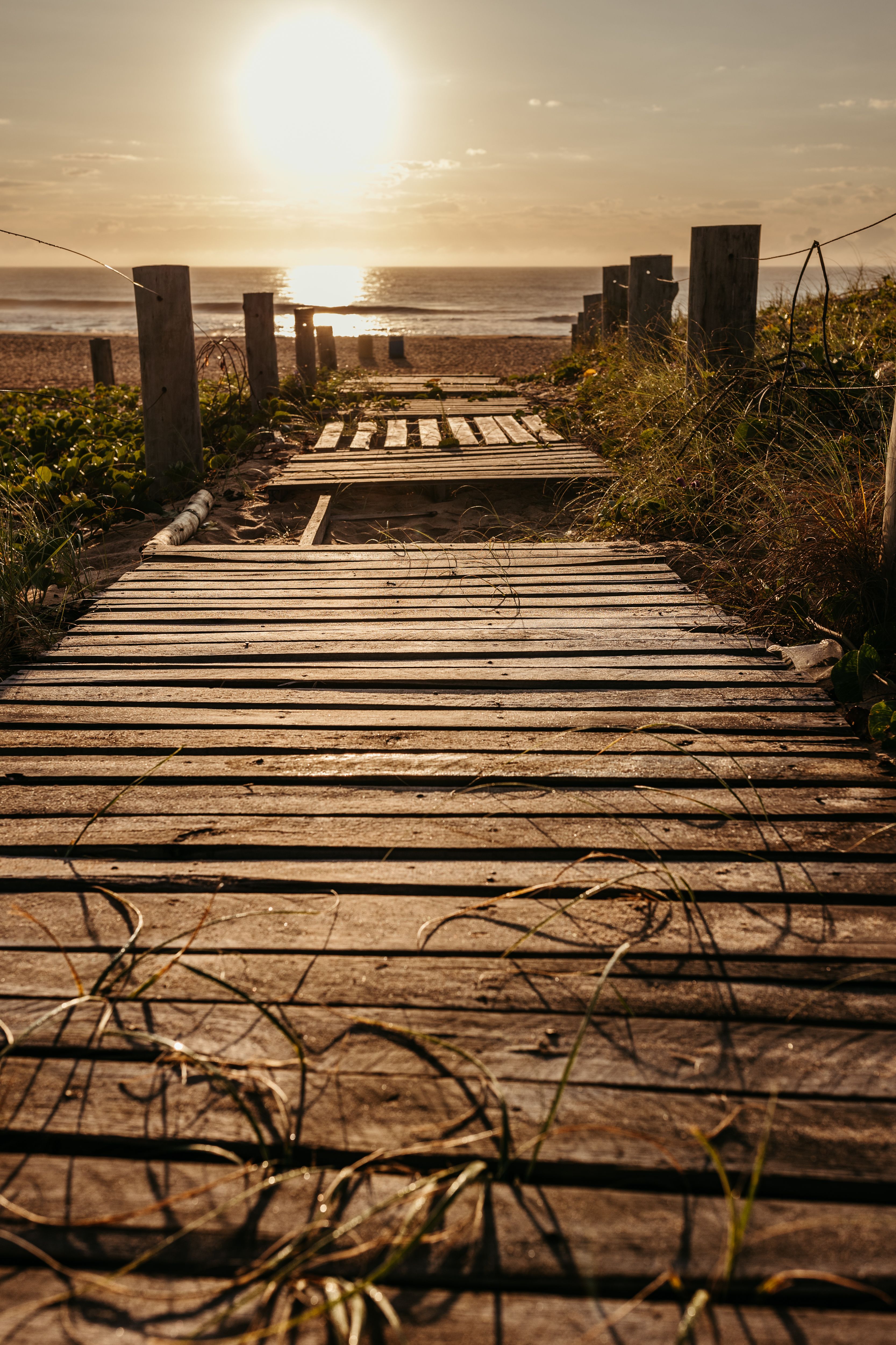 Wooden Pier on Beach · Free Stock Photo