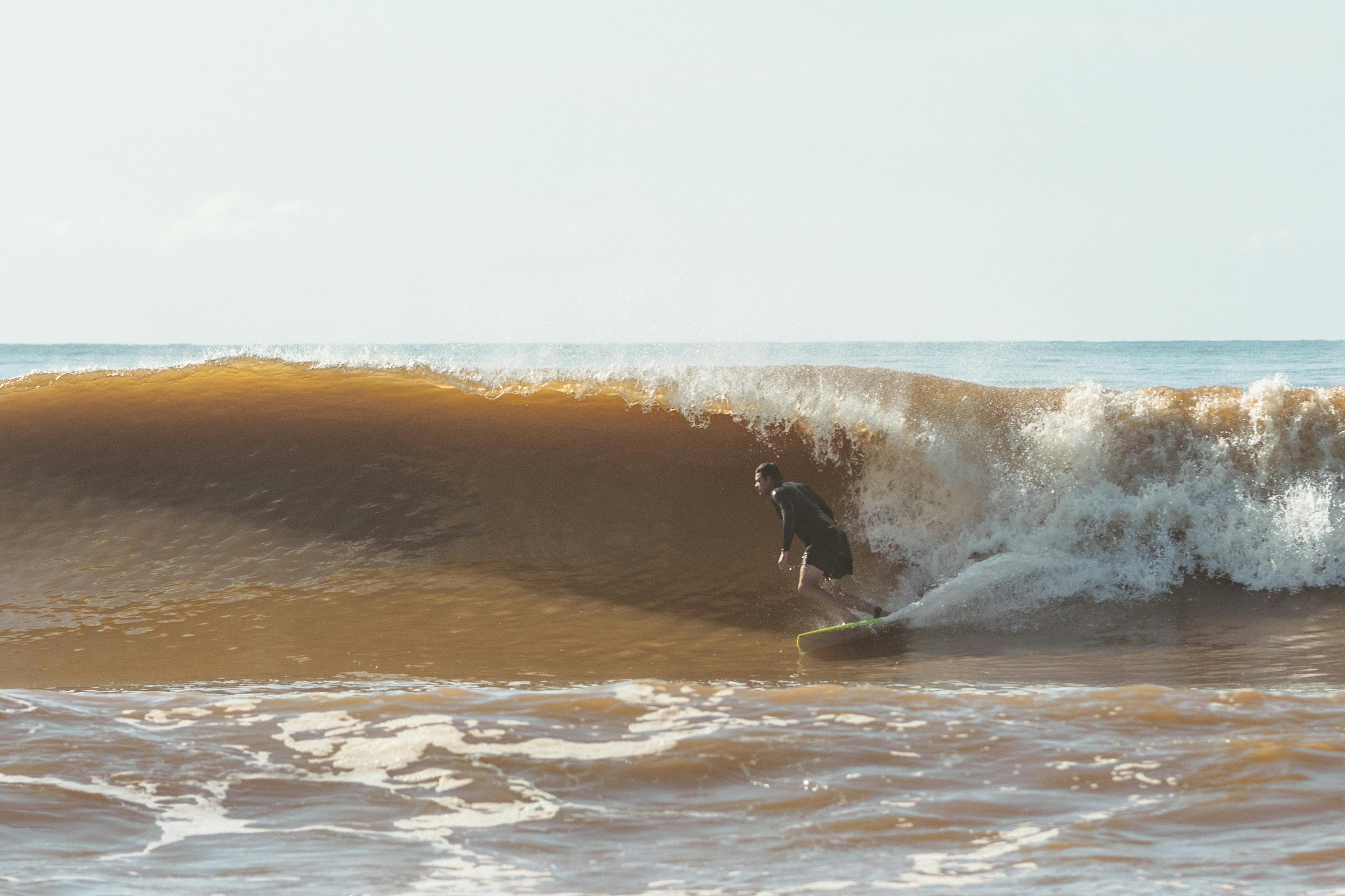 Surfers on Wave on Sea Coast · Free Stock Photo