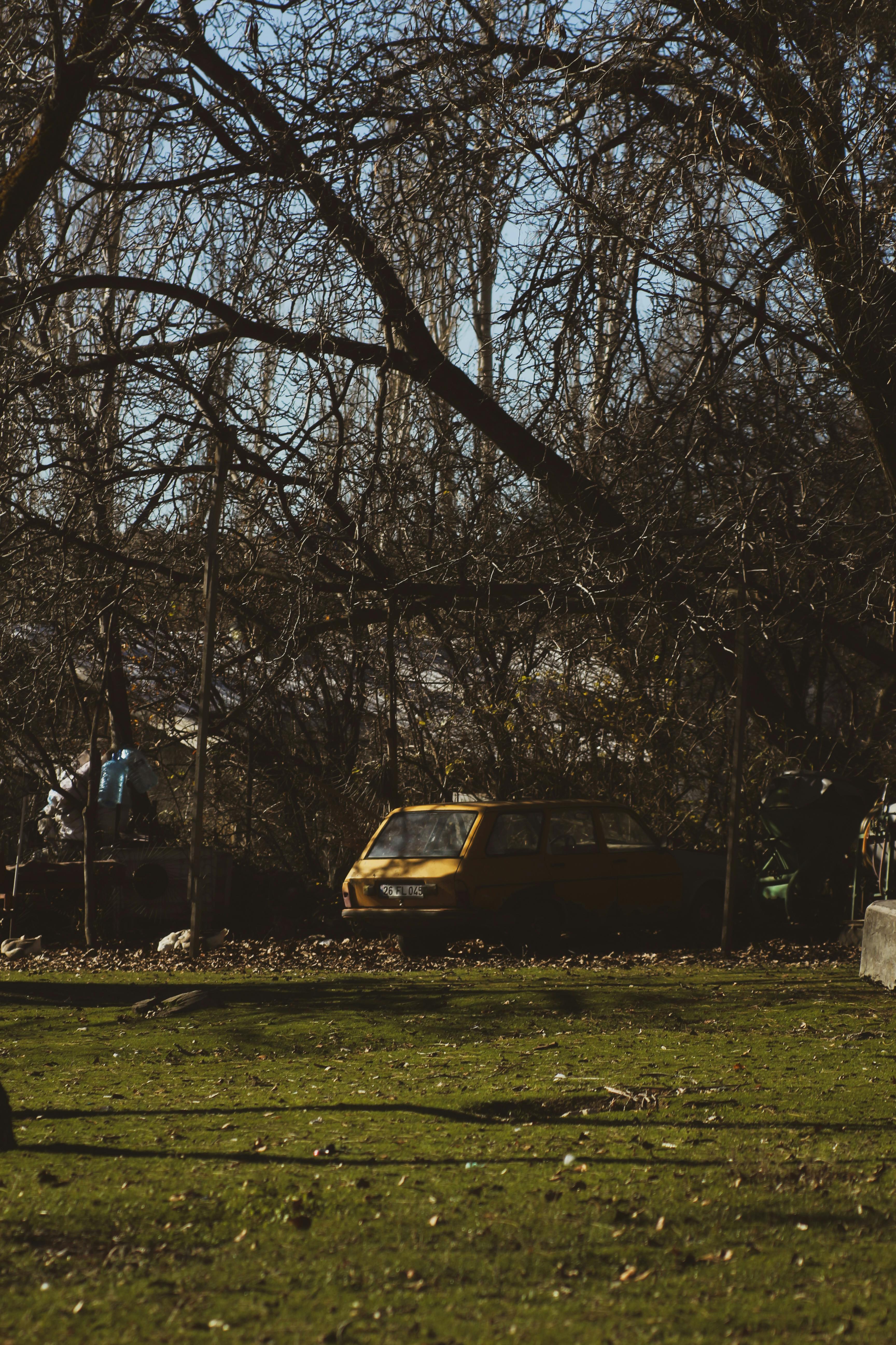 Yellow Vintage Car under a Tree · Free Stock Photo
