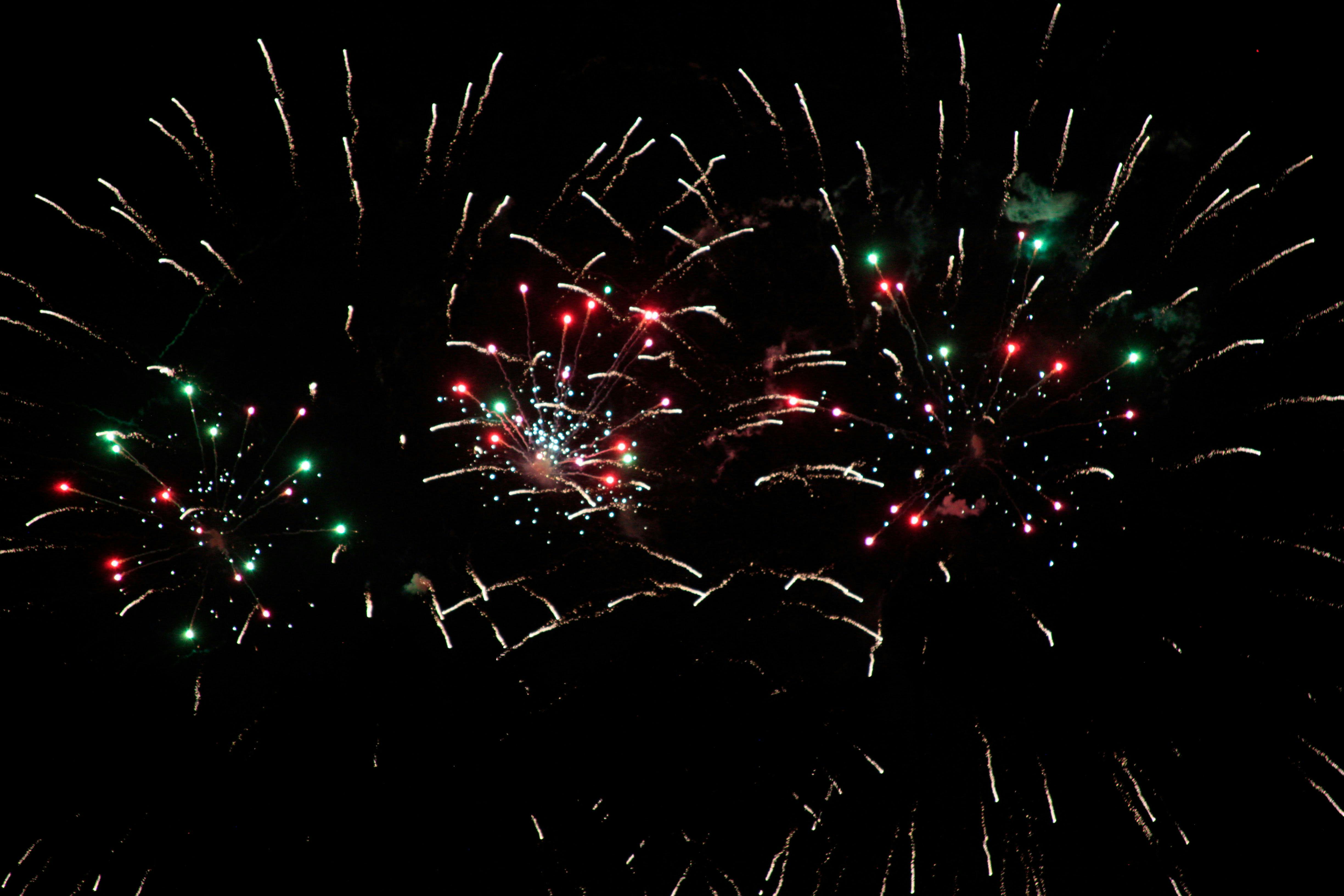 Landon Morgan - 写真