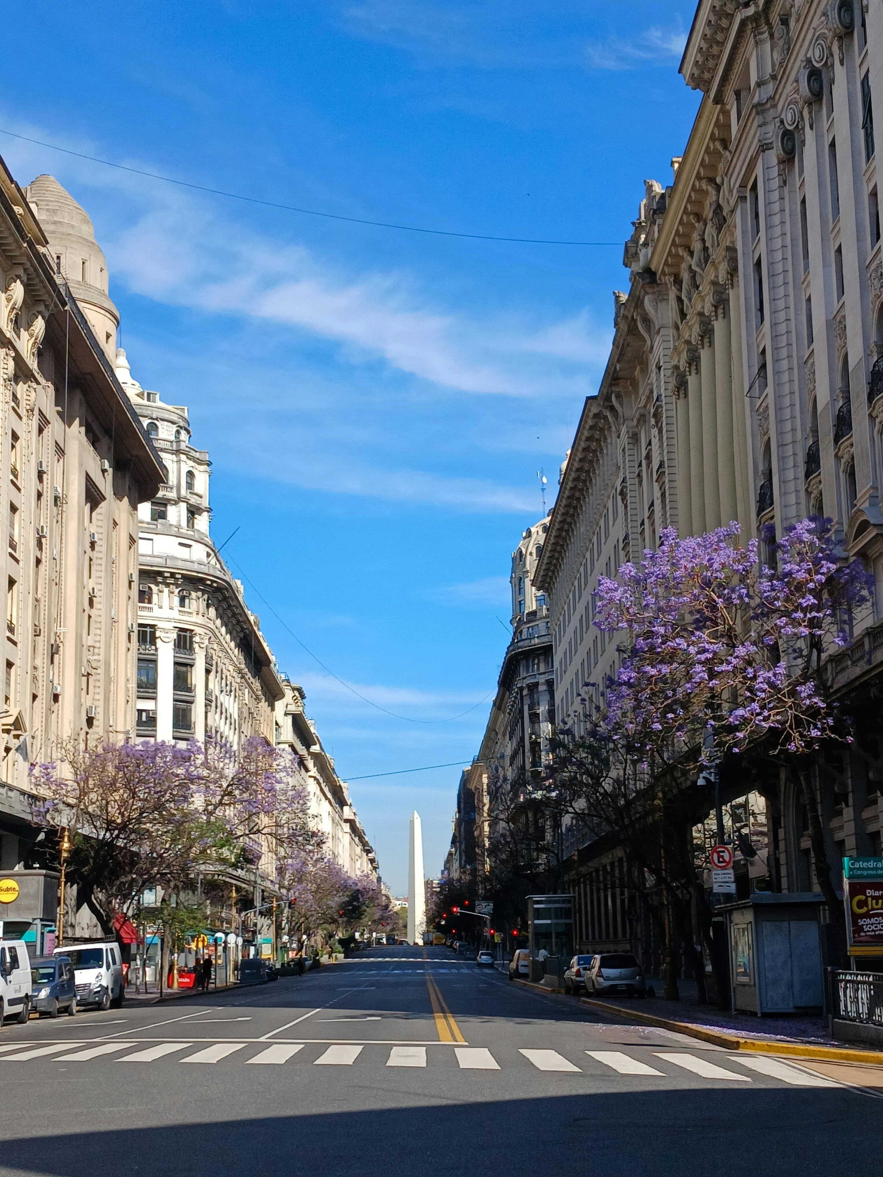 Foto de stock gratuita sobre al aire libre, américa del sur, arboles ...