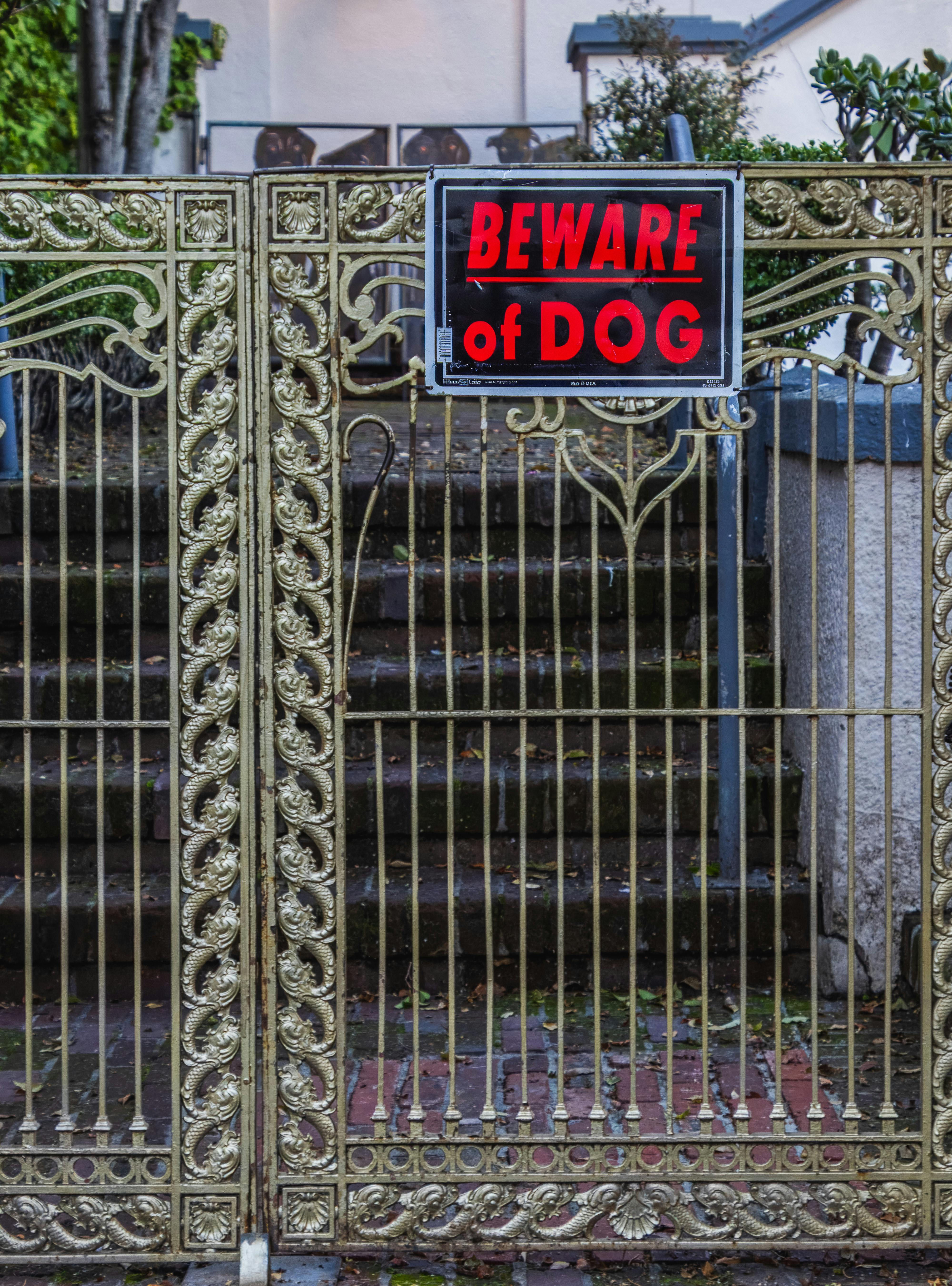 Beware of Dog Sign on the Metal Gate in Front of the House · Free Stock ...