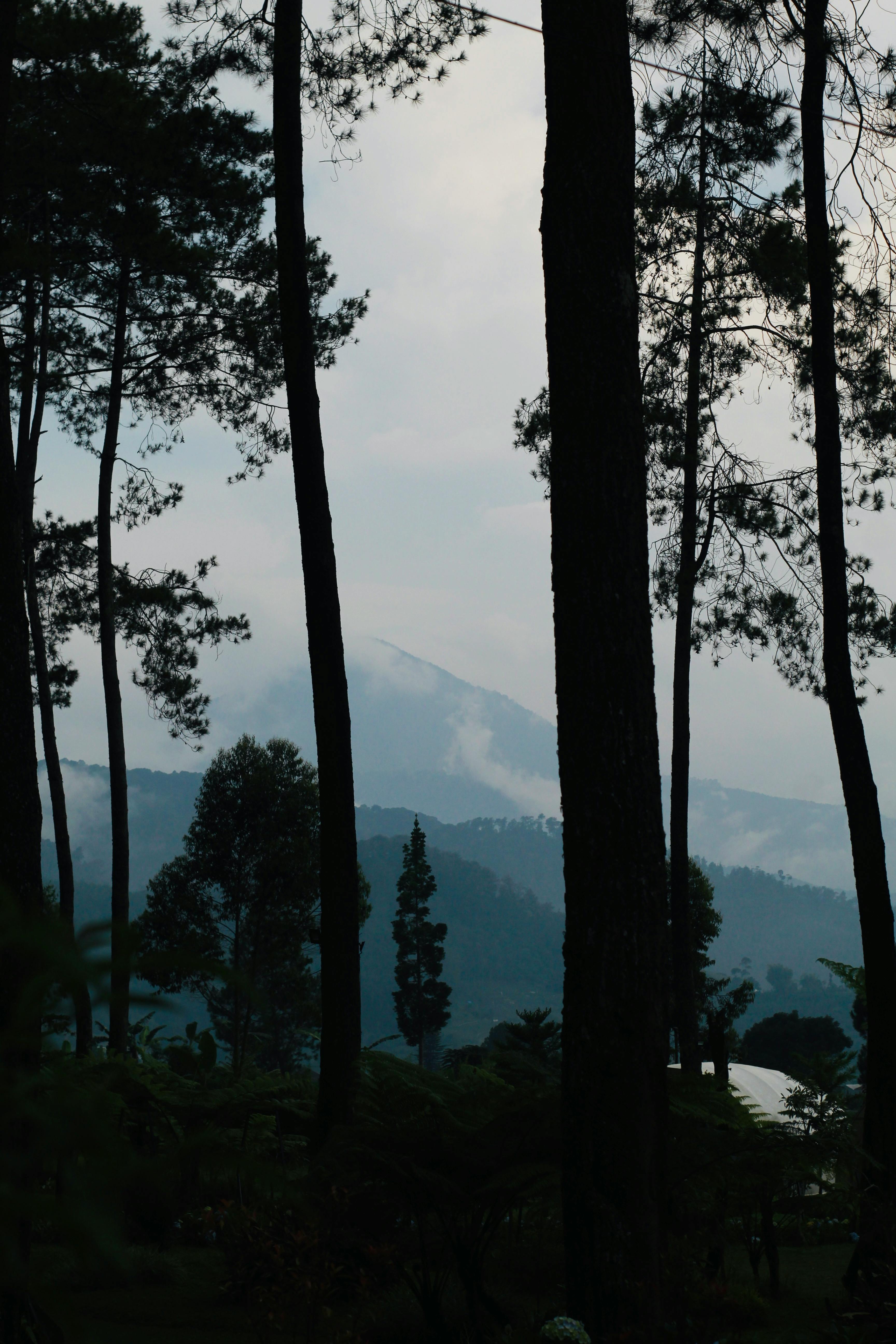 Matthew Gregory - 写真