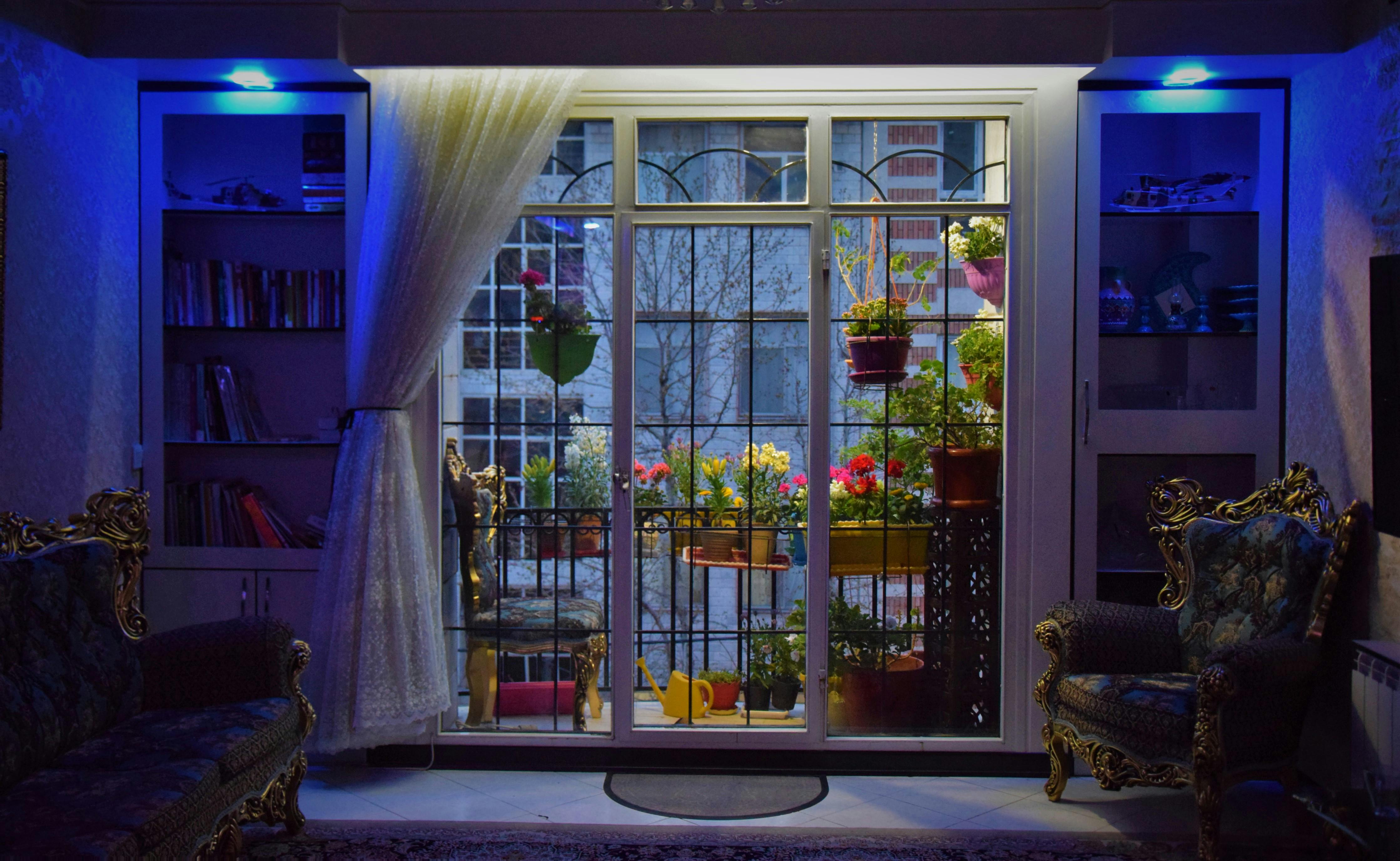 reza karimi - Photography