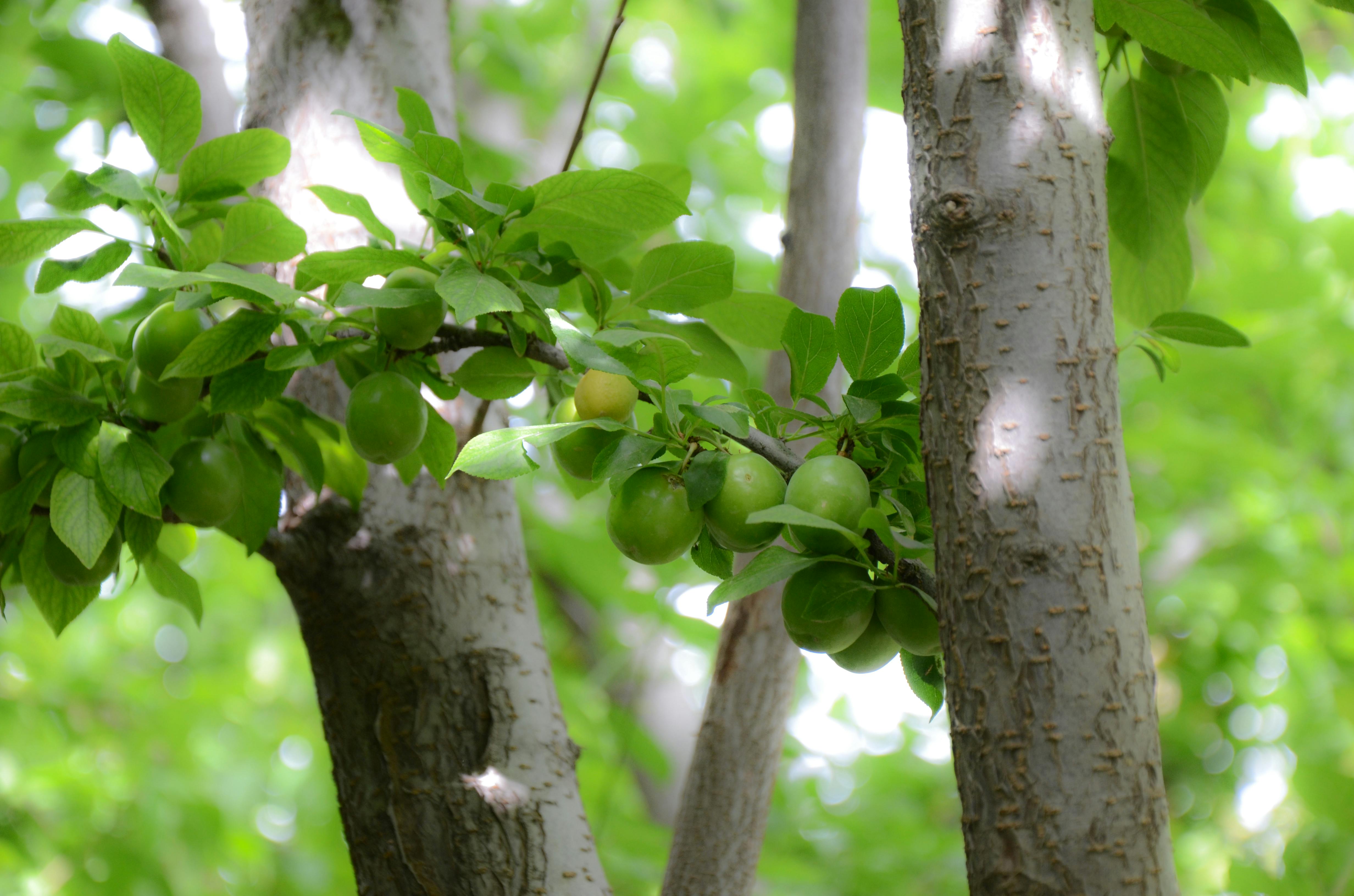 reza karimi - Photography