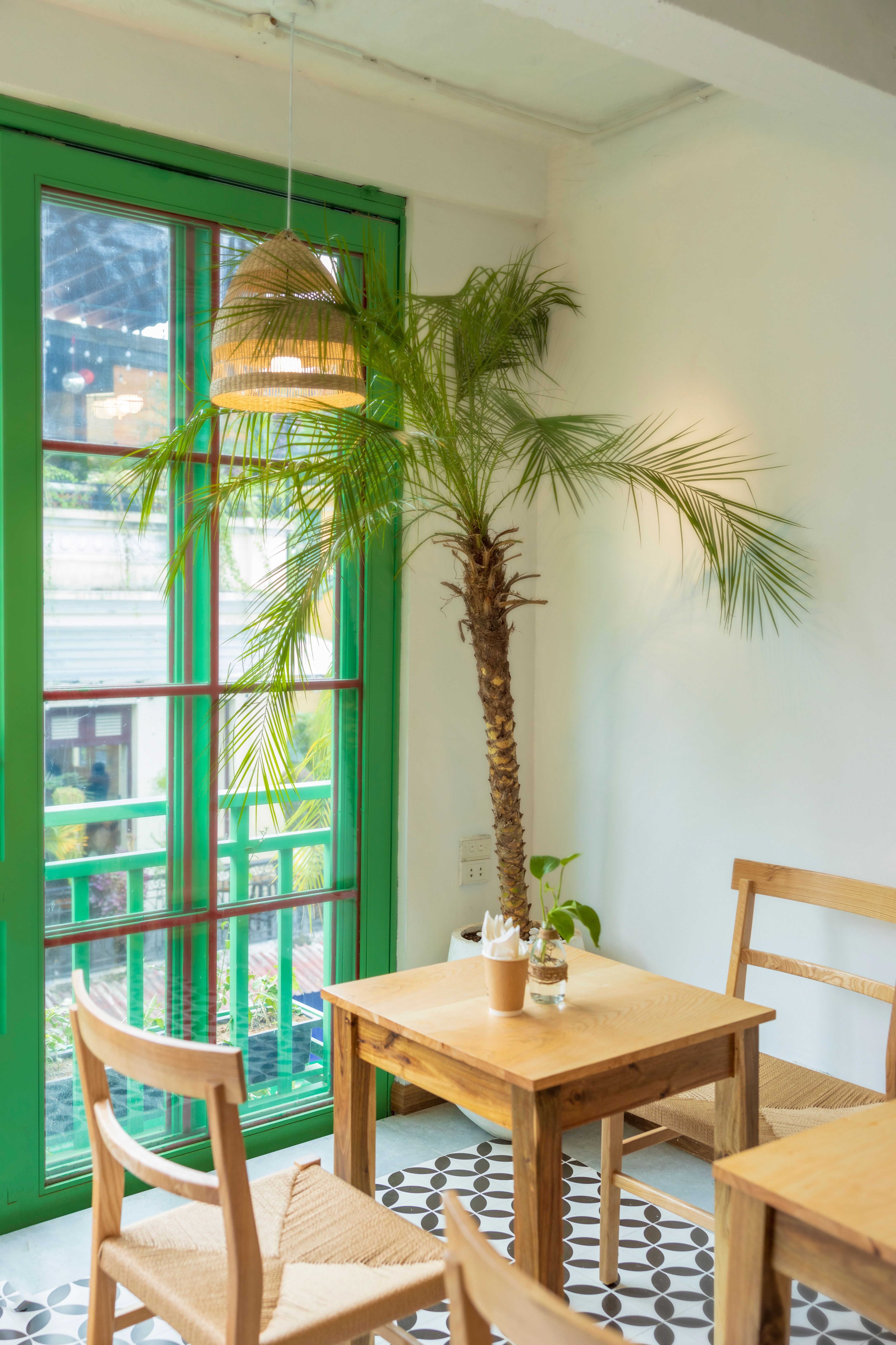 Palm Tree Decorating Cafe · Free Stock Photo