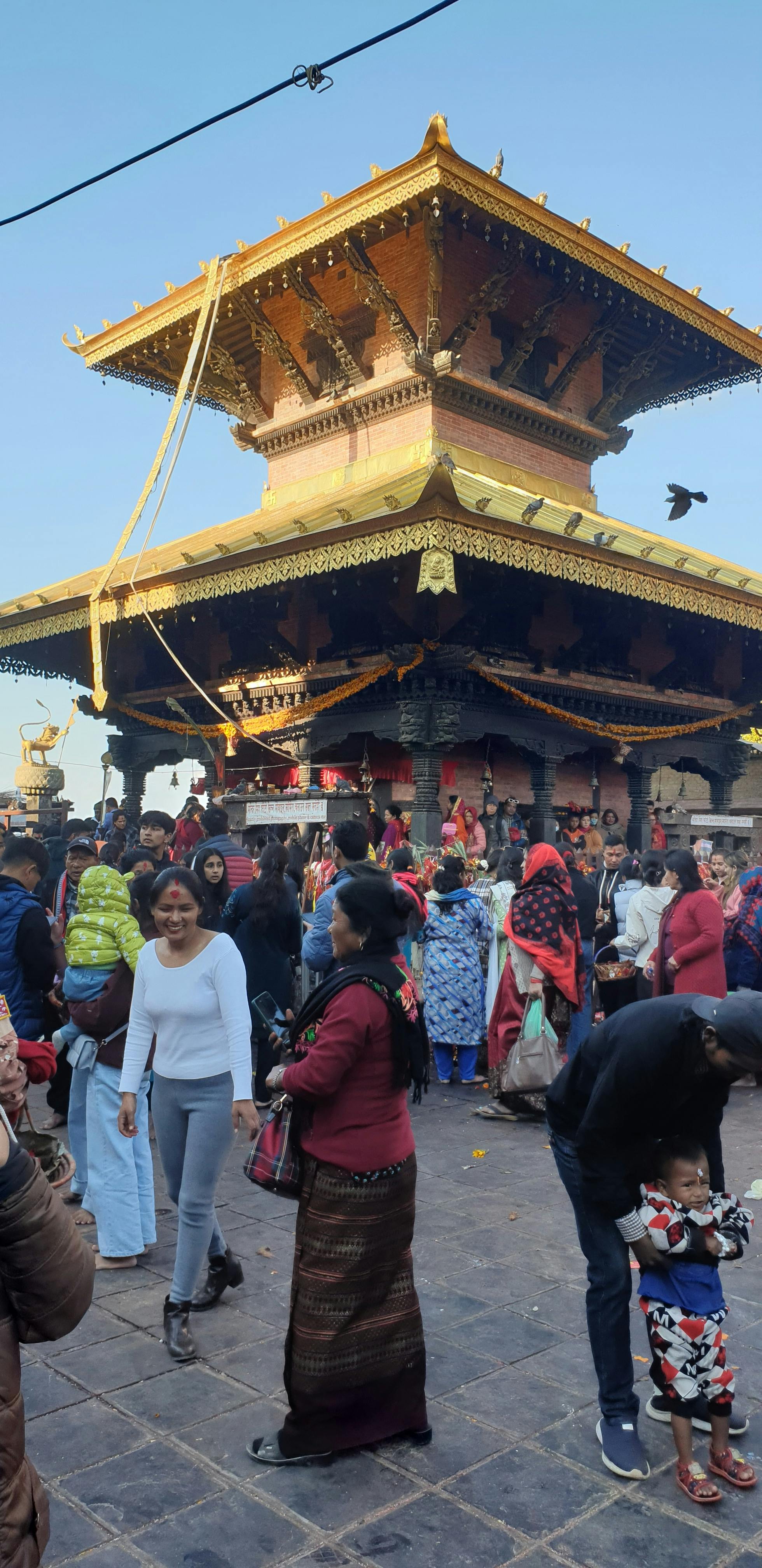 pranish shrestha — Фотография