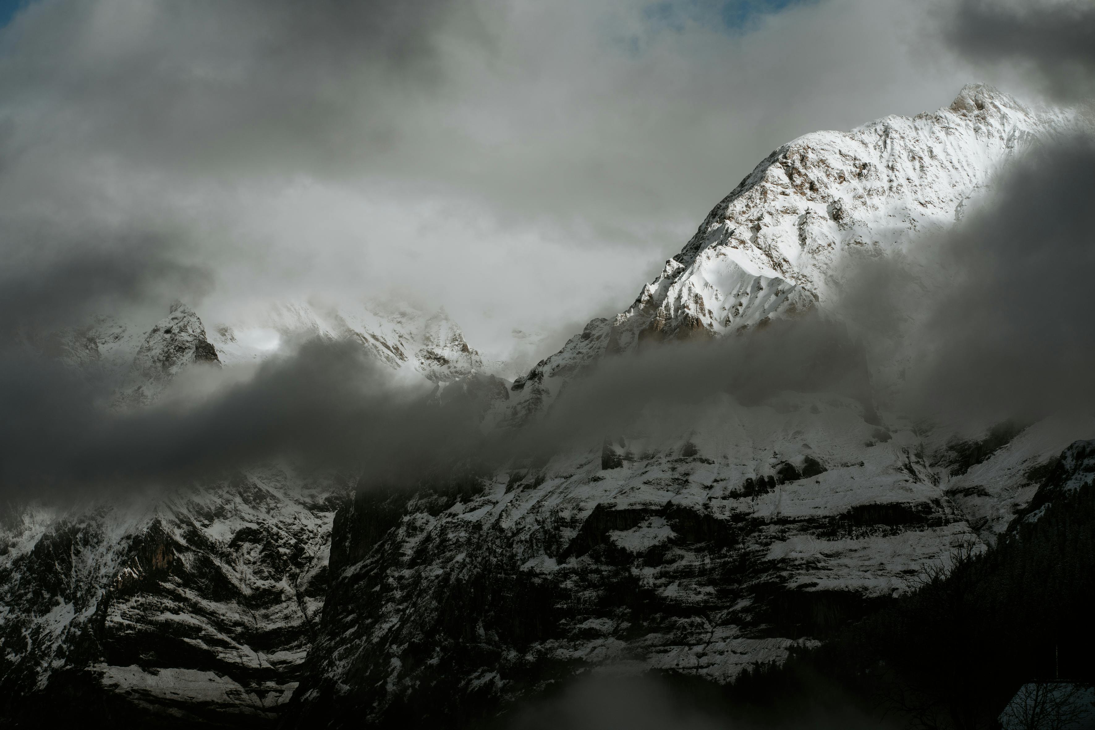 Winter Mma Photos, Download The BEST Free Winter Mma Stock Photos & HD ...