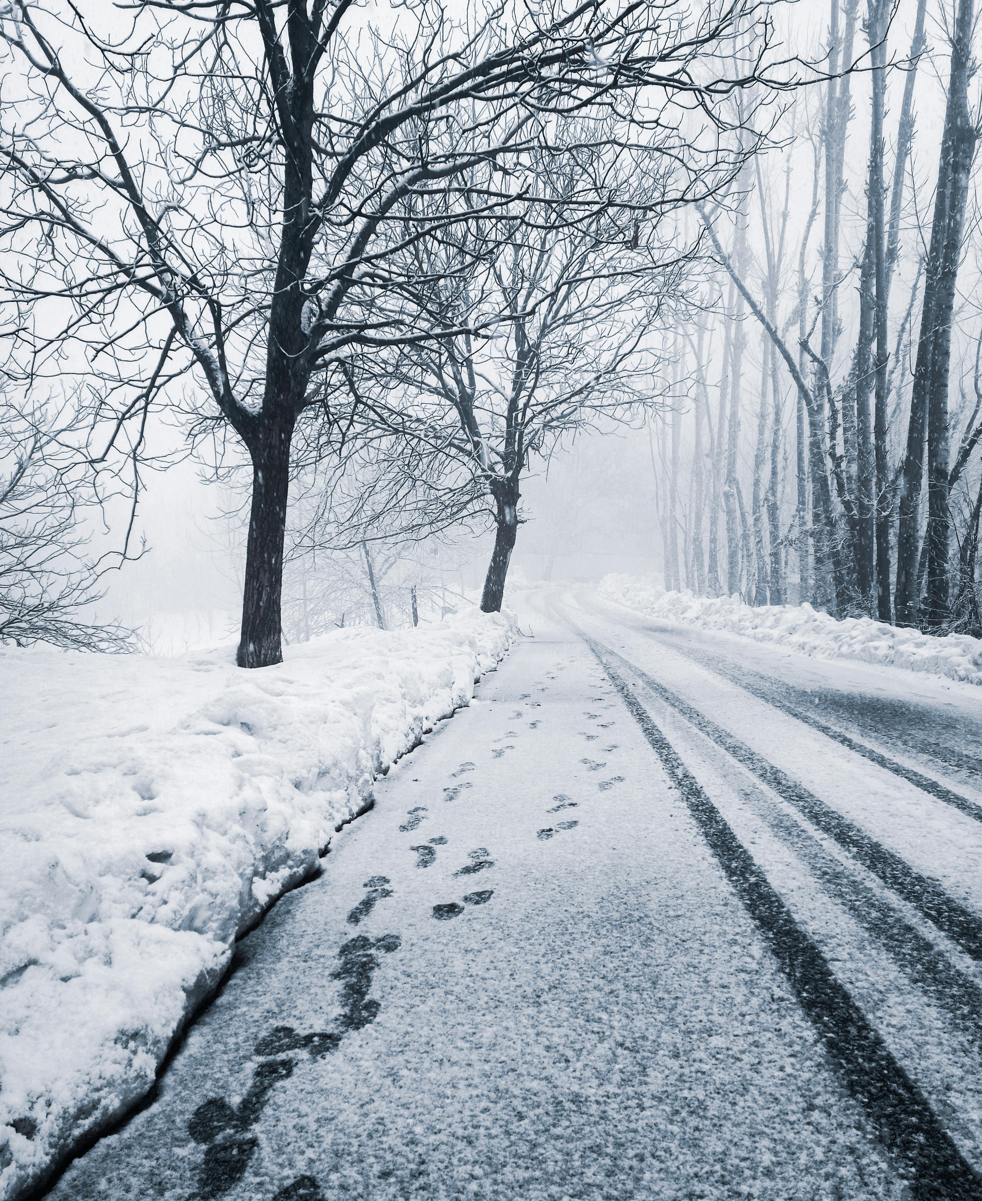 winter is comming · Free Stock Photo