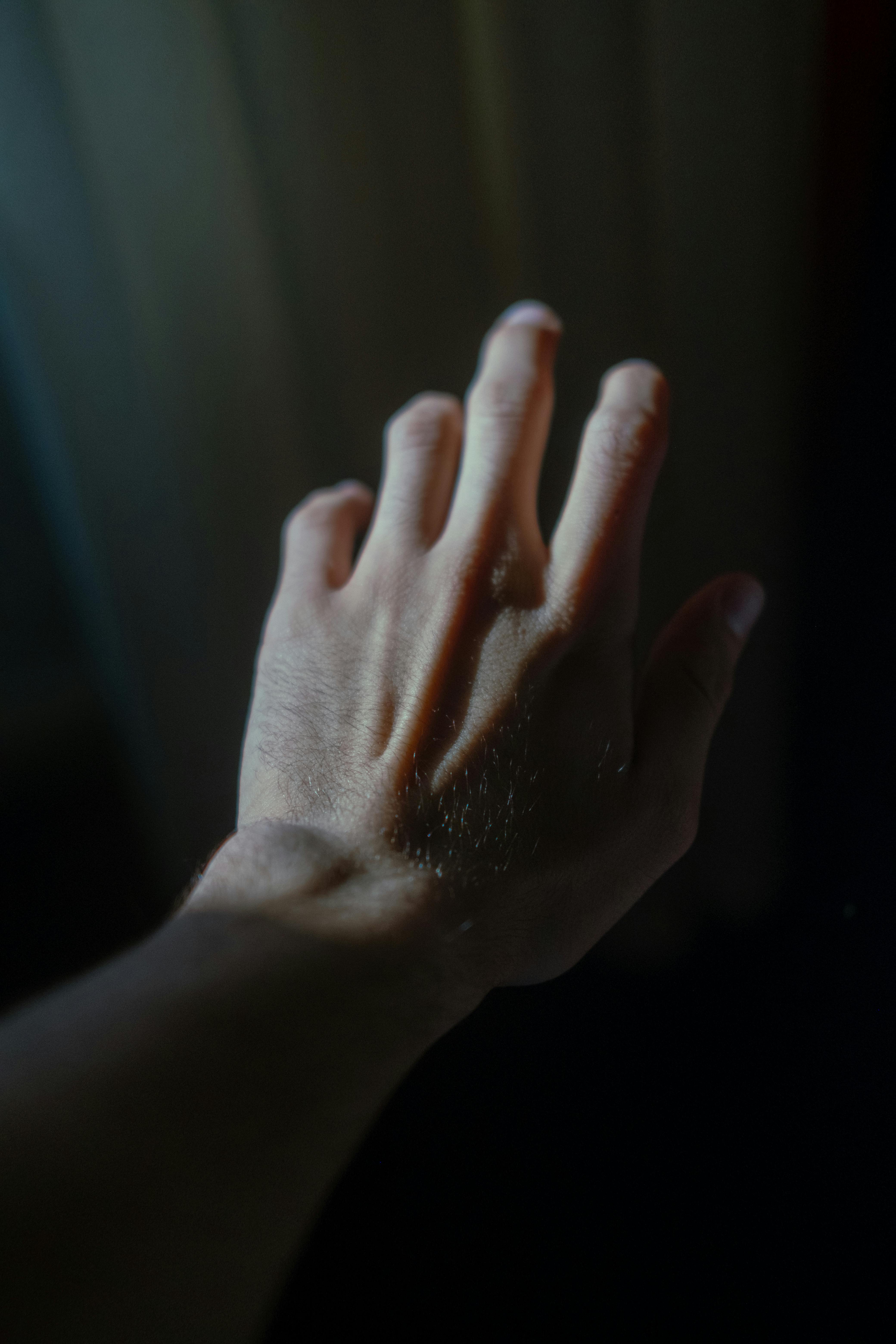 Persons Hands · Free Stock Photo