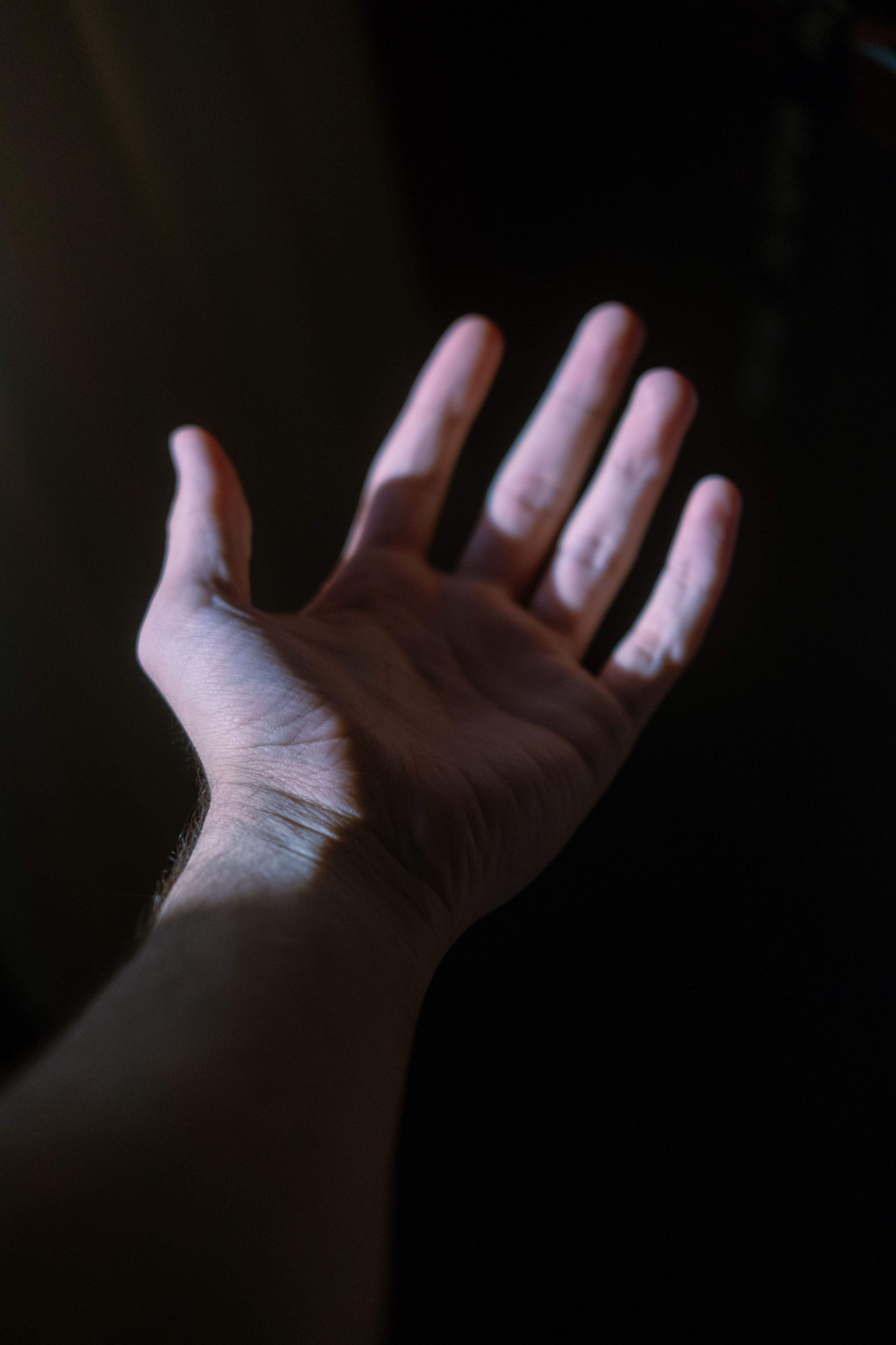 Forgive Photos, Download The BEST Free Forgive Stock Photos & HD Images