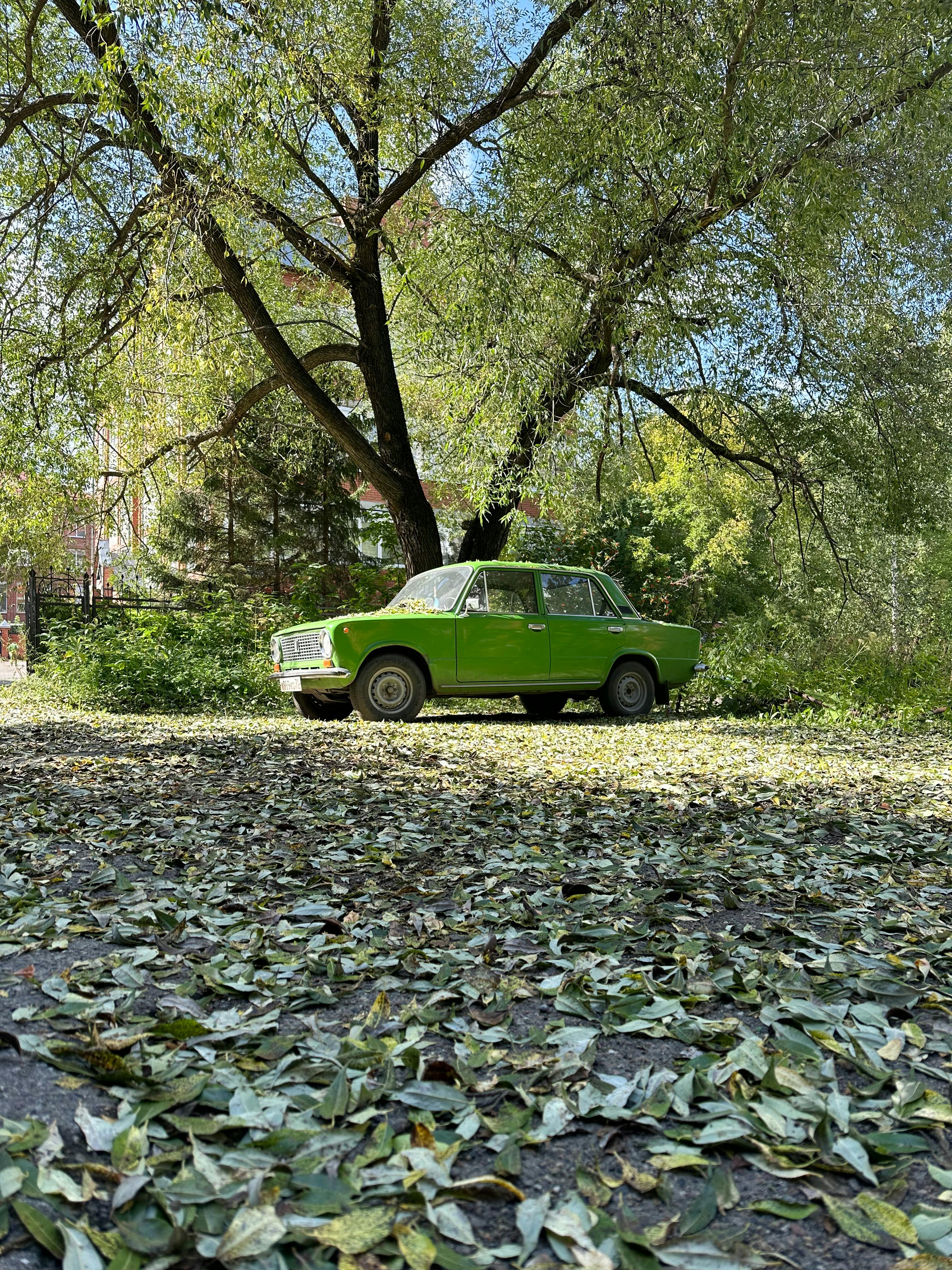 Vintage Car under Tree · Free Stock Photo