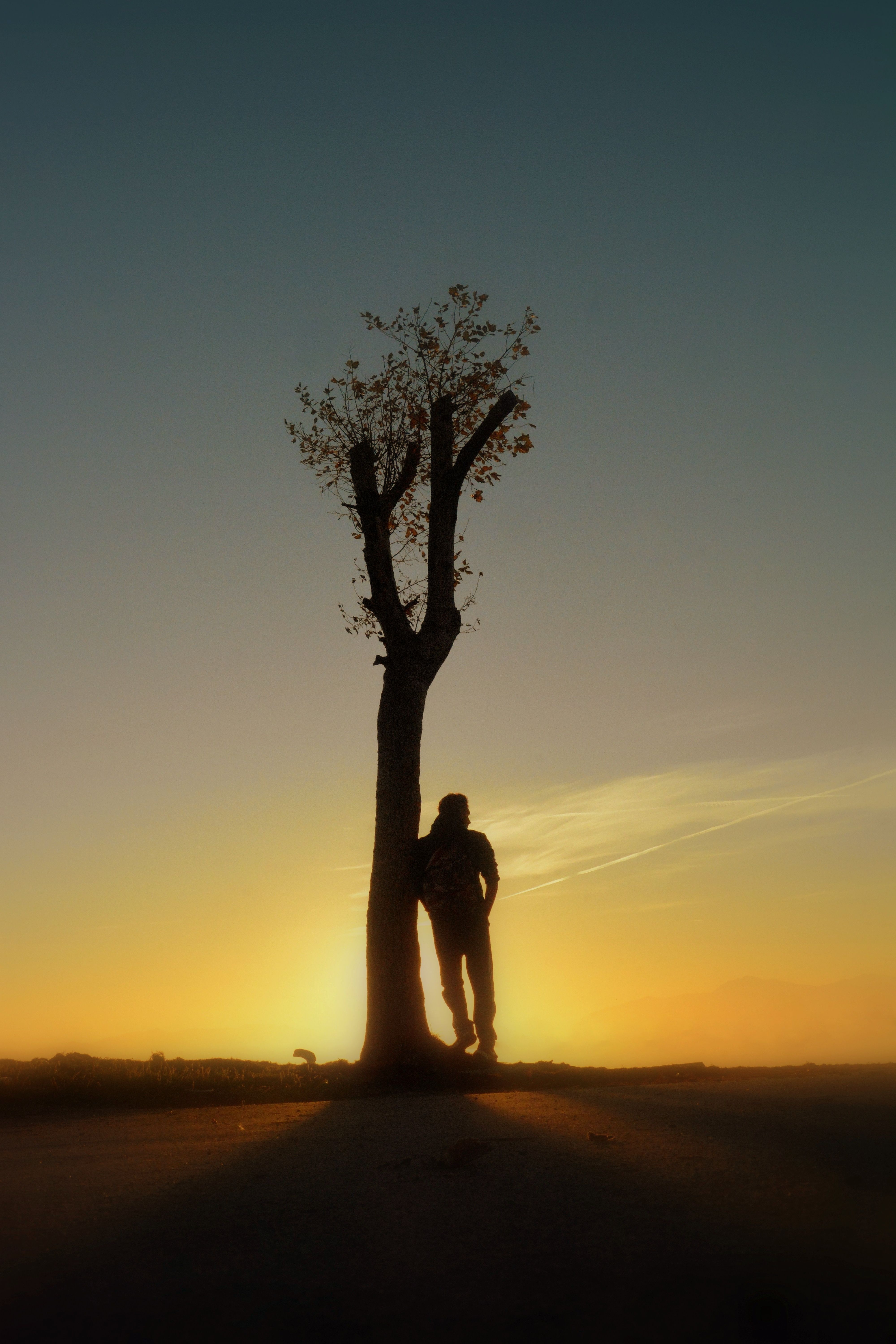 A silhouette of a person standing next to a tree · Free Stock Photo