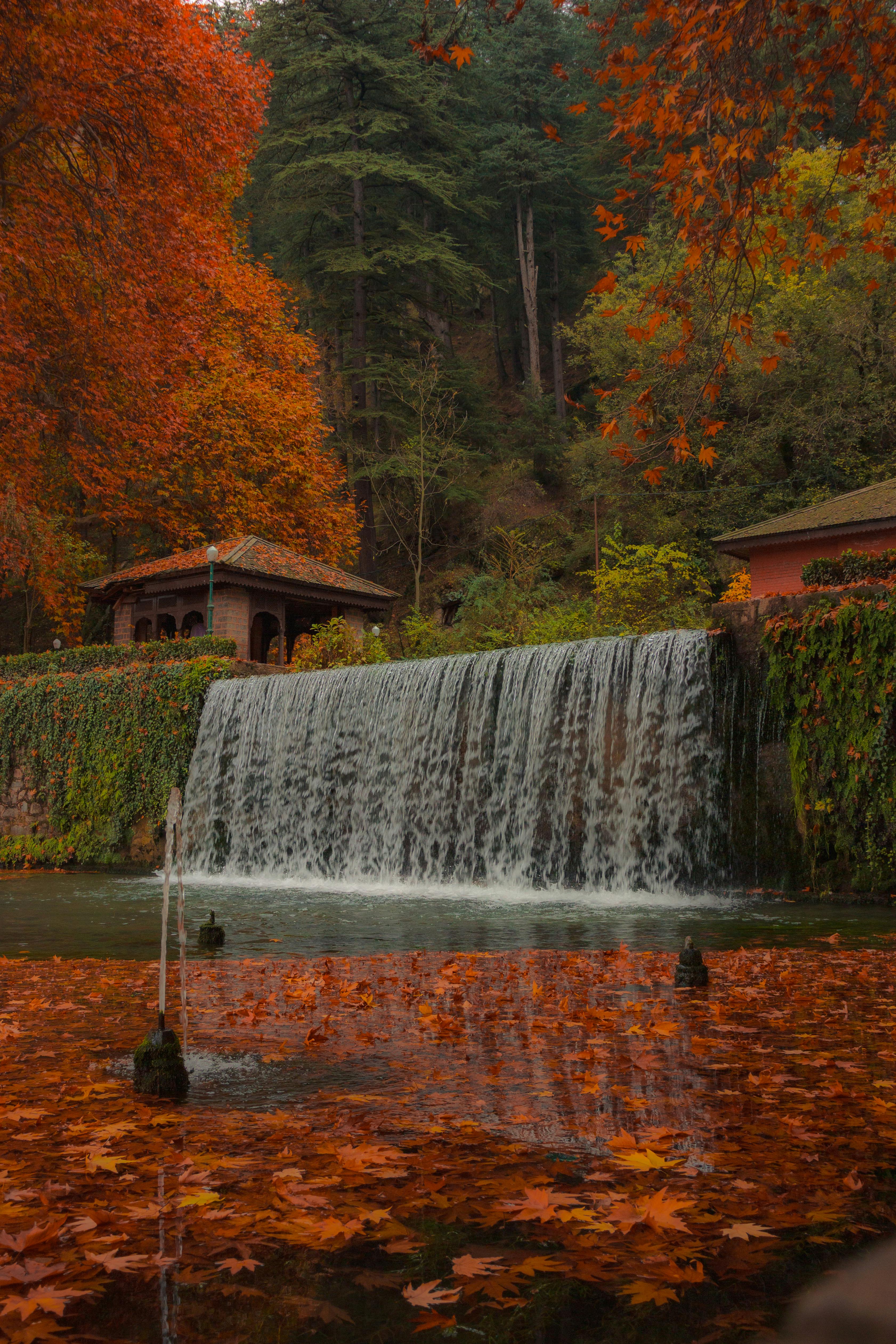 Waterfall and Red Autumn Leaves in a Park · Free Stock Photo