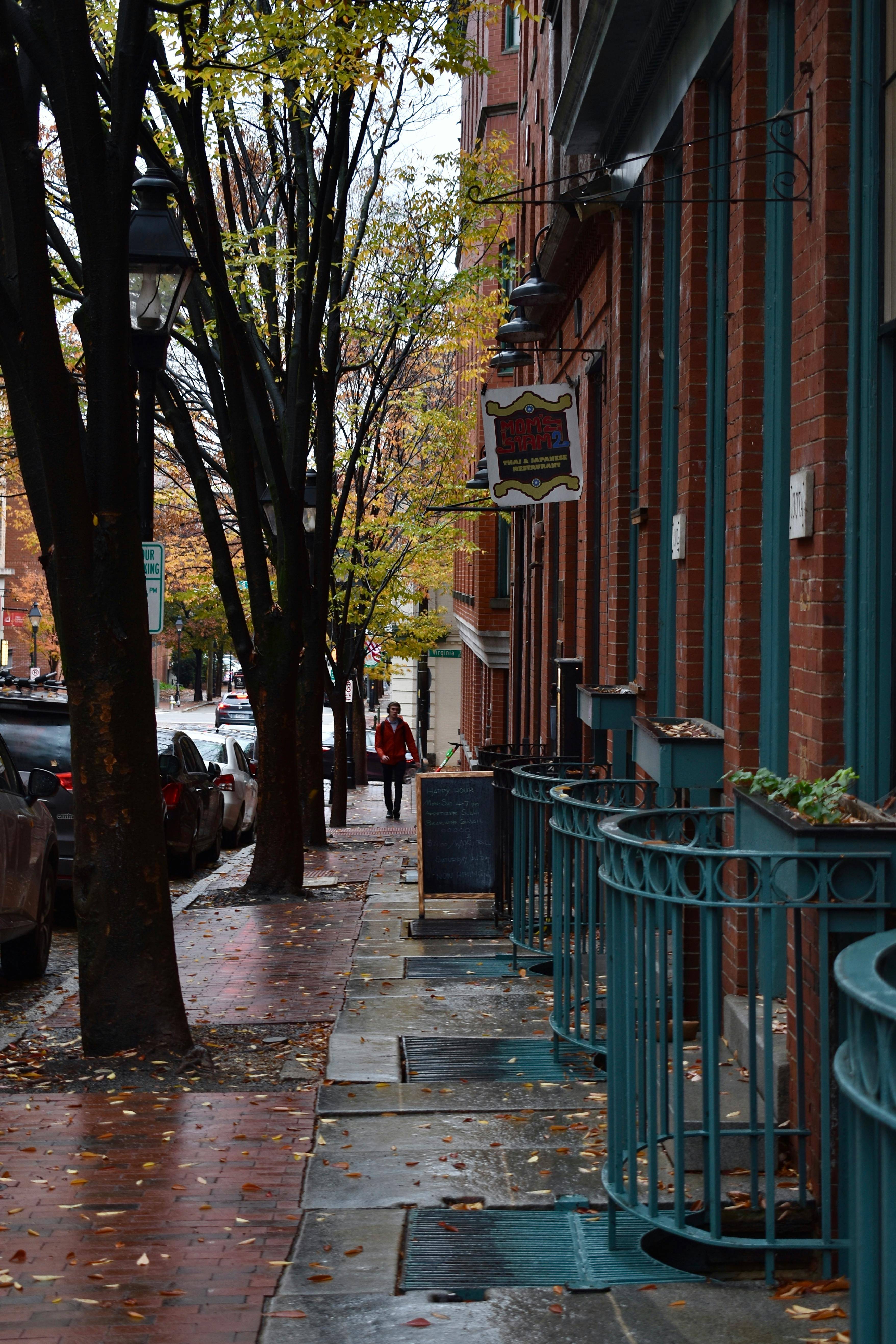 Rotational Fall Photos, Download The BEST Free Rotational Fall Stock ...