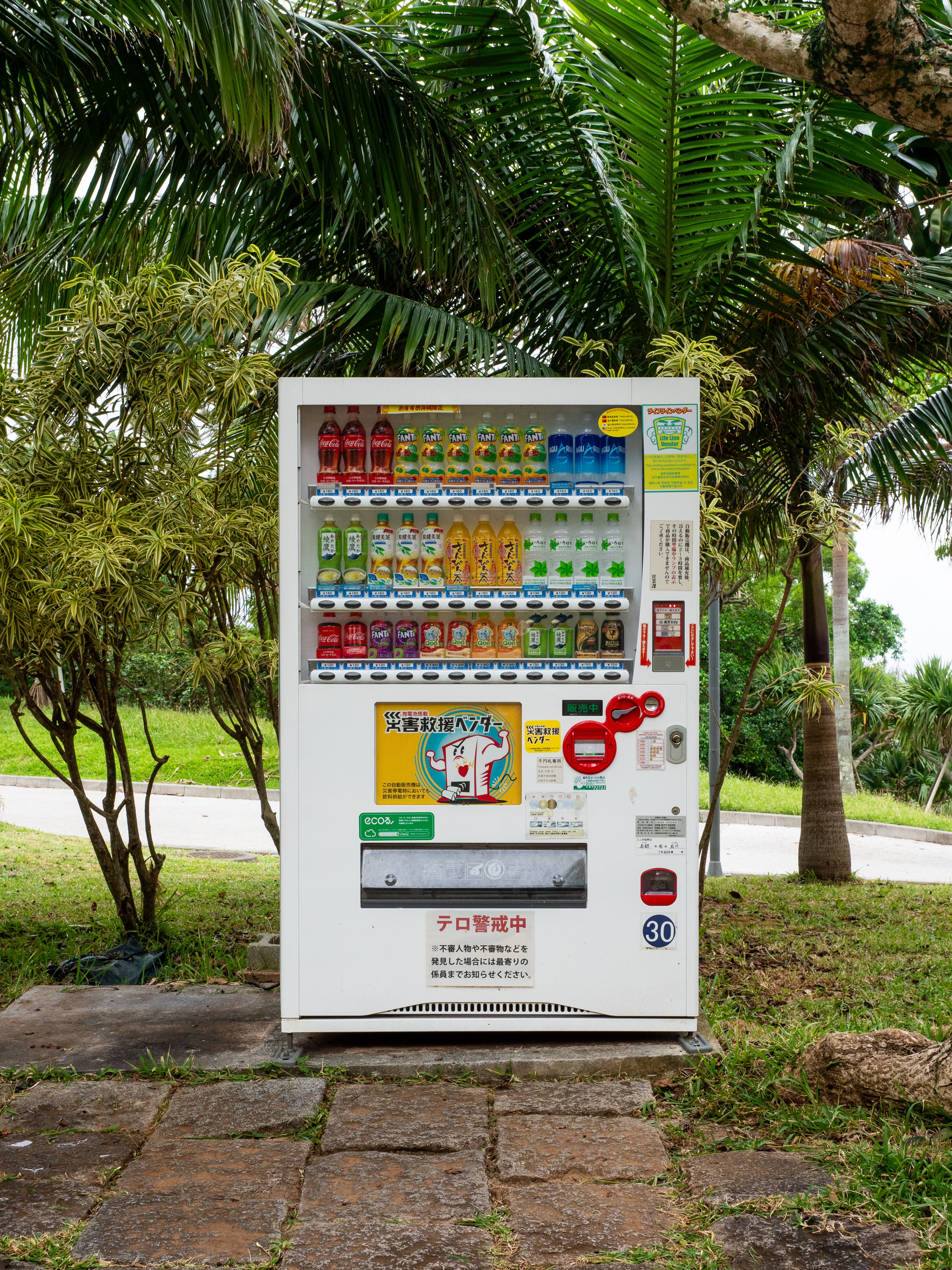 Vending Machine in Okinawa, Japan · Free Stock Photo