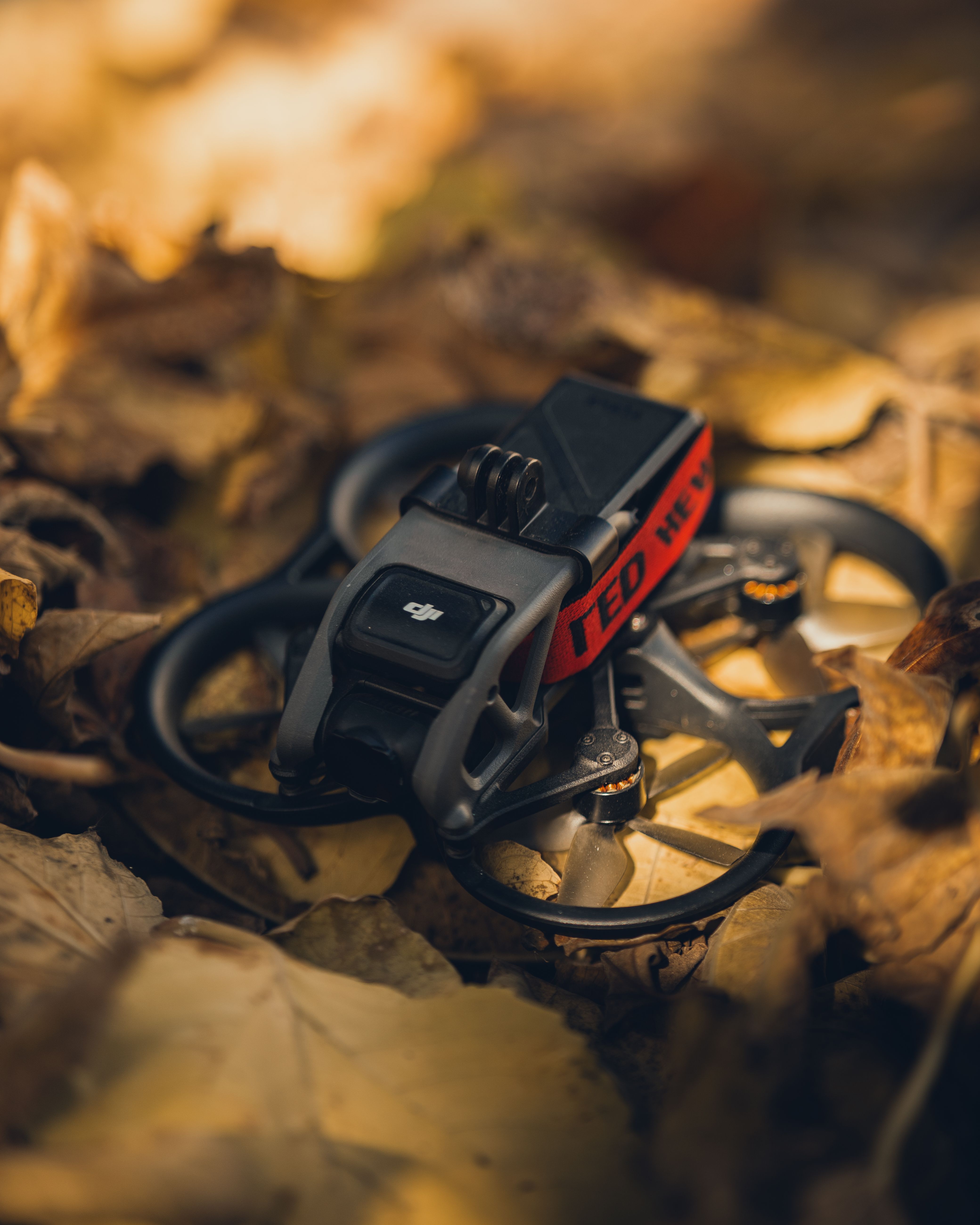 Drone, Autumn Photos, Download The BEST Free Drone, Autumn Stock Photos ...