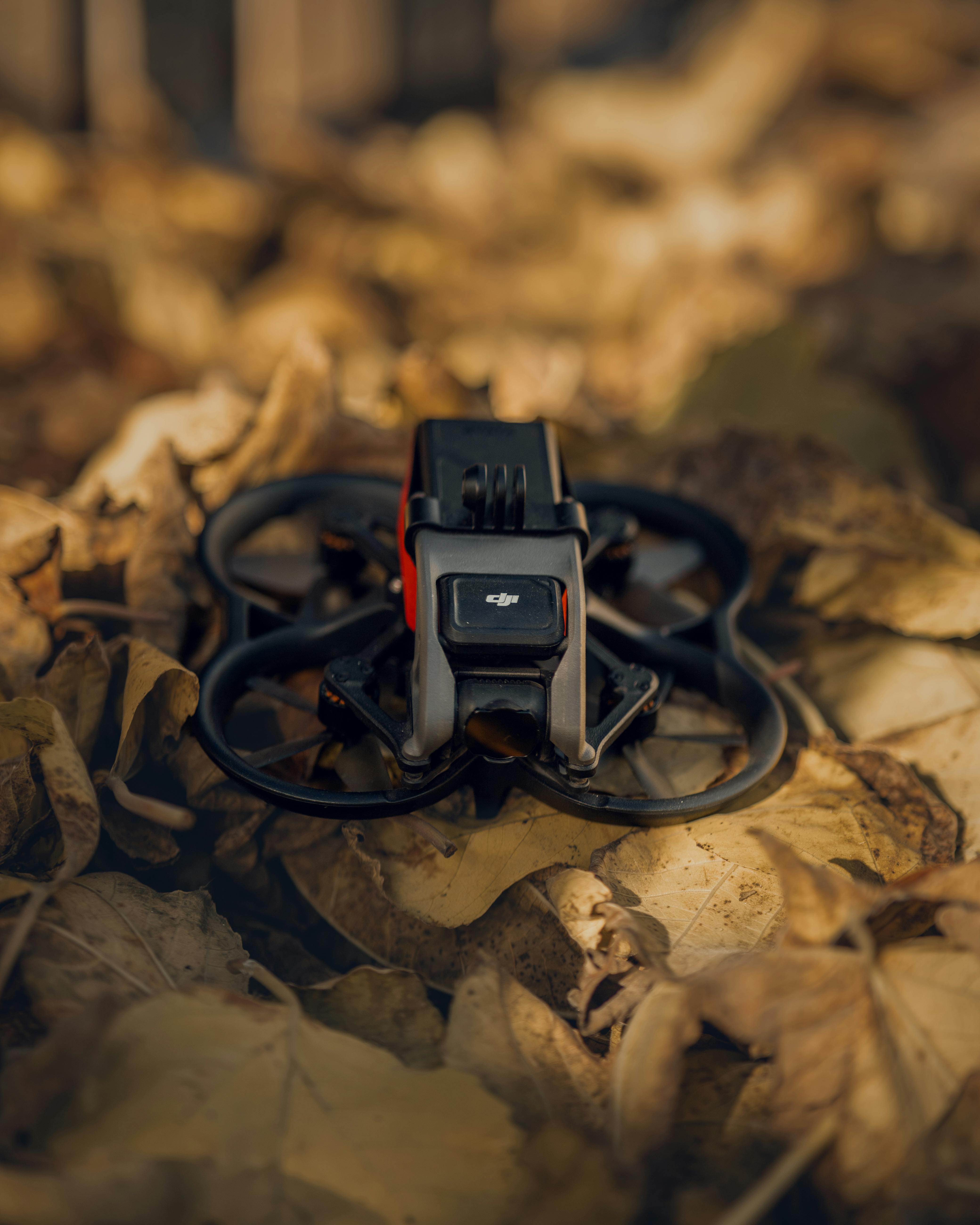 DJI Avata Drone on Fallen Leaves · Free Stock Photo