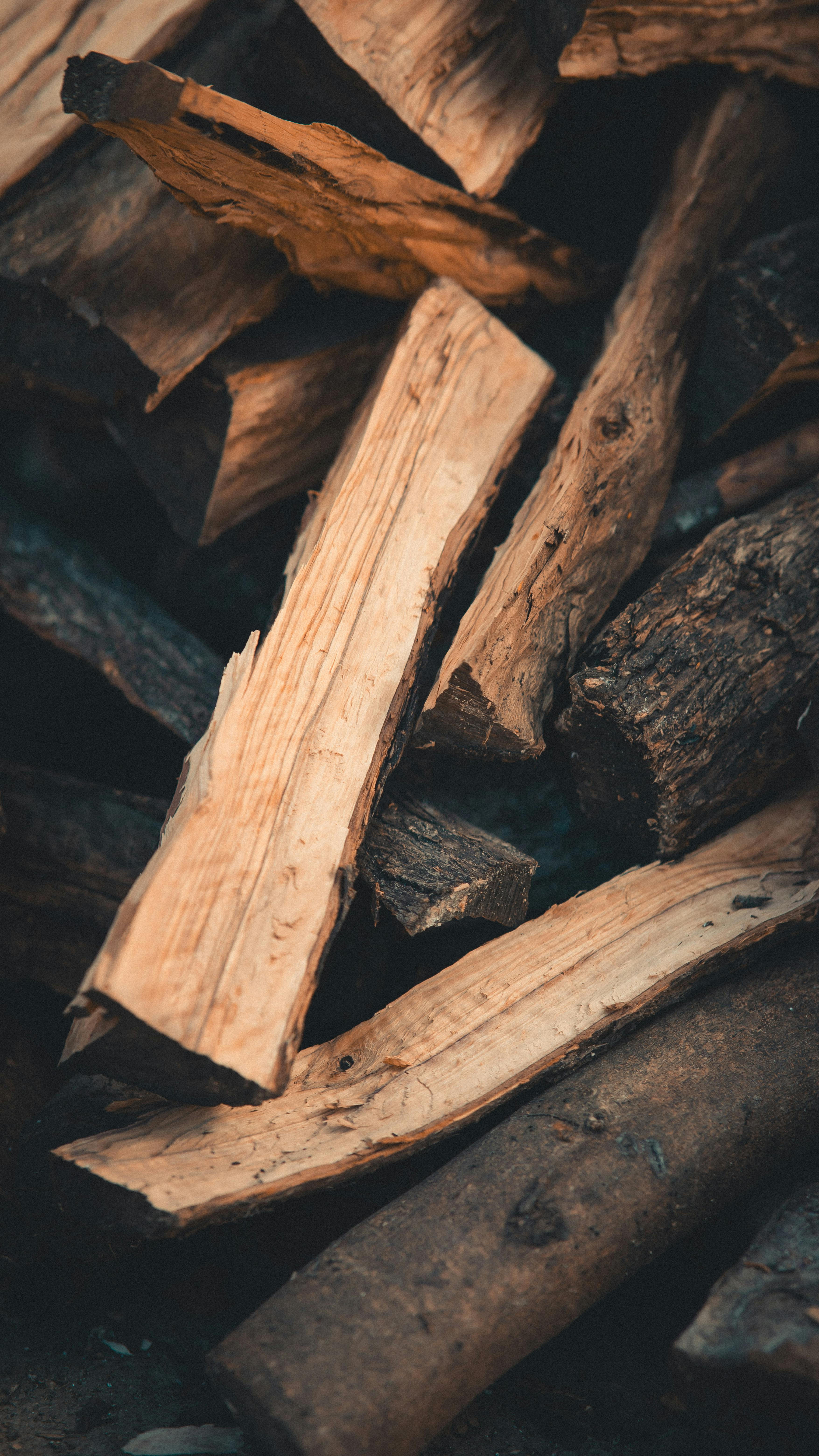 Brown and Beige Wood Logs · Free Stock Photo