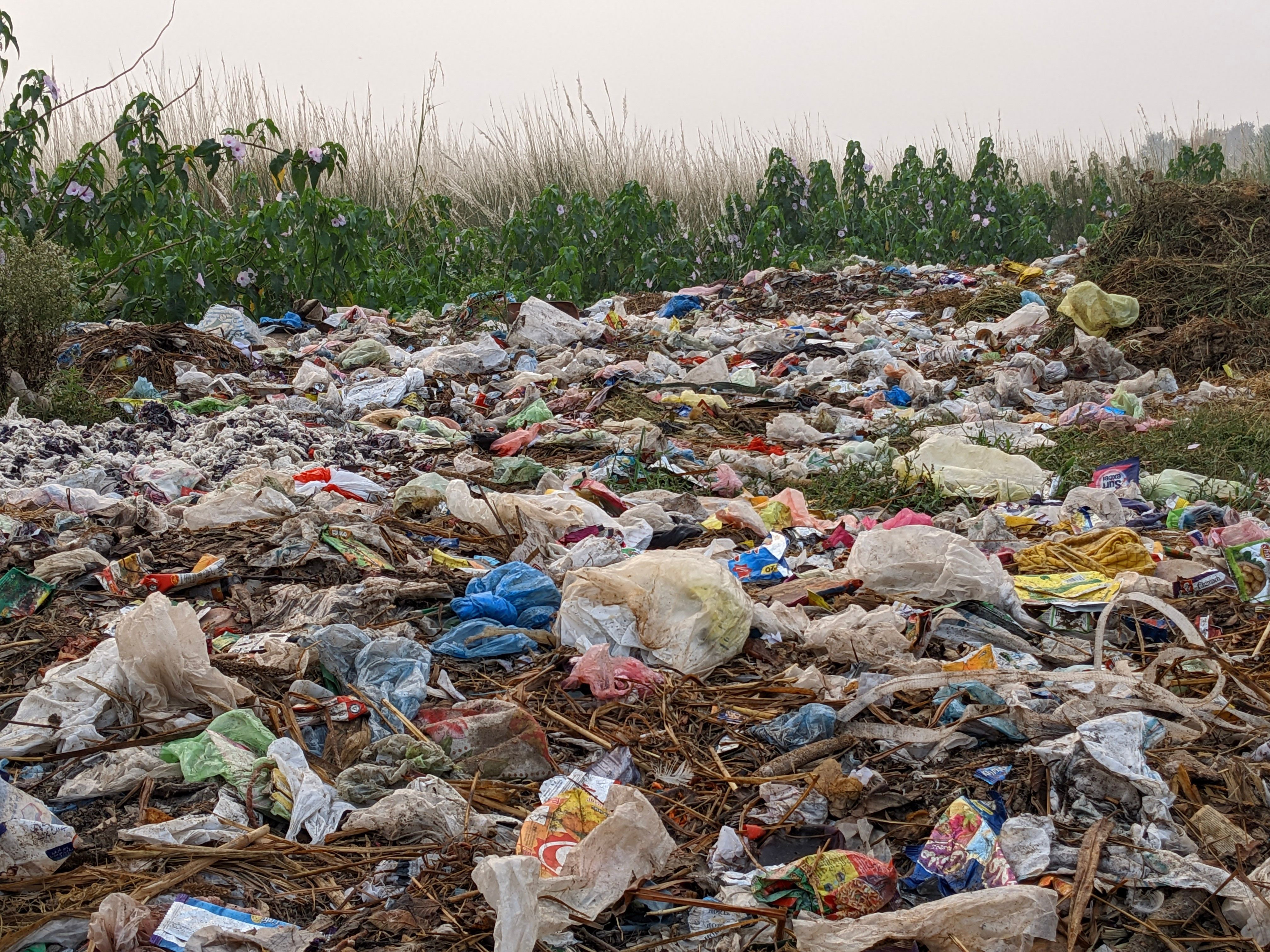 Foto de stock gratuita sobre basura, bolsas, campo, contaminación ...