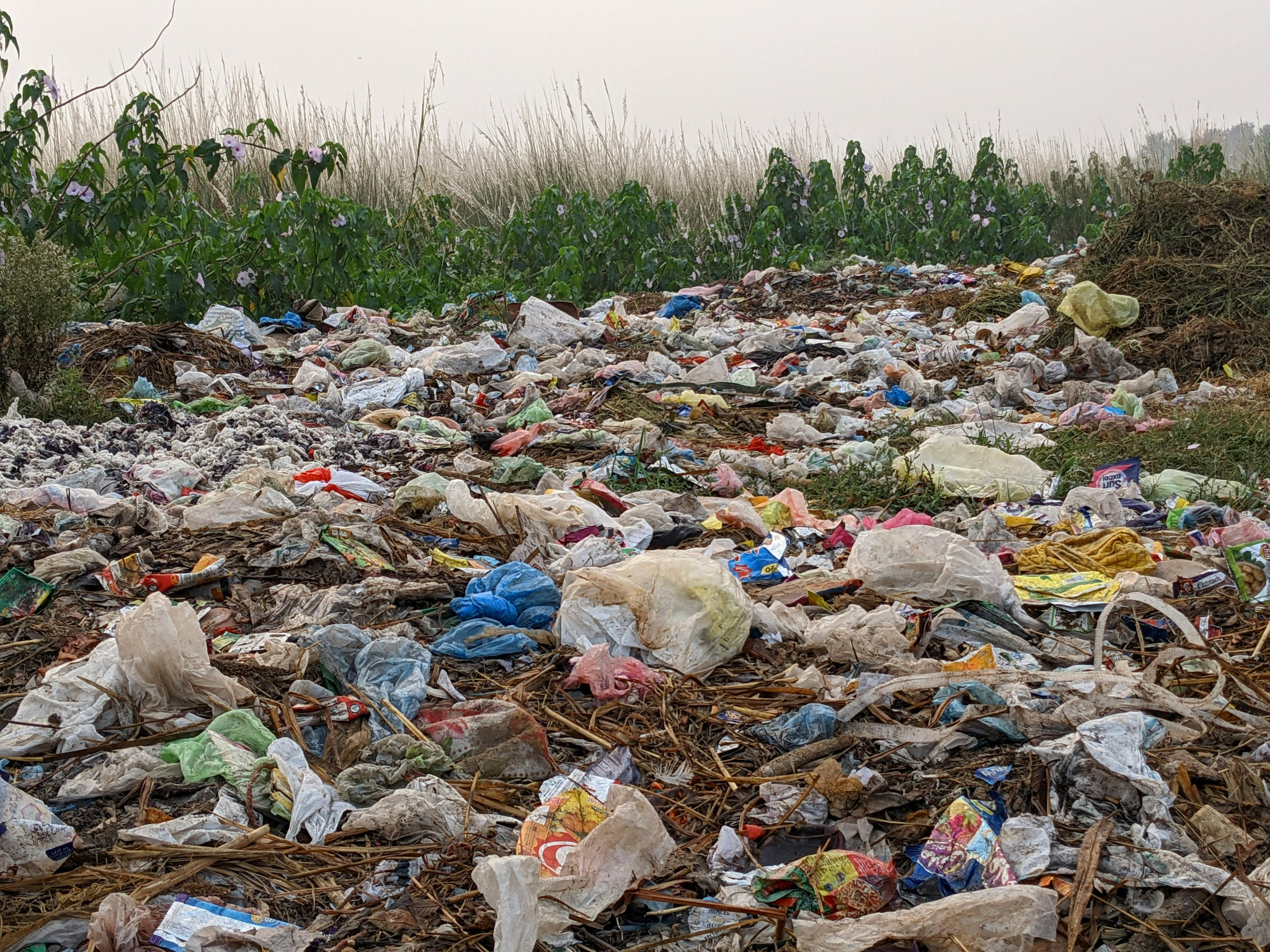 Field covered in Plastic Bags and other Trash · Free Stock Photo