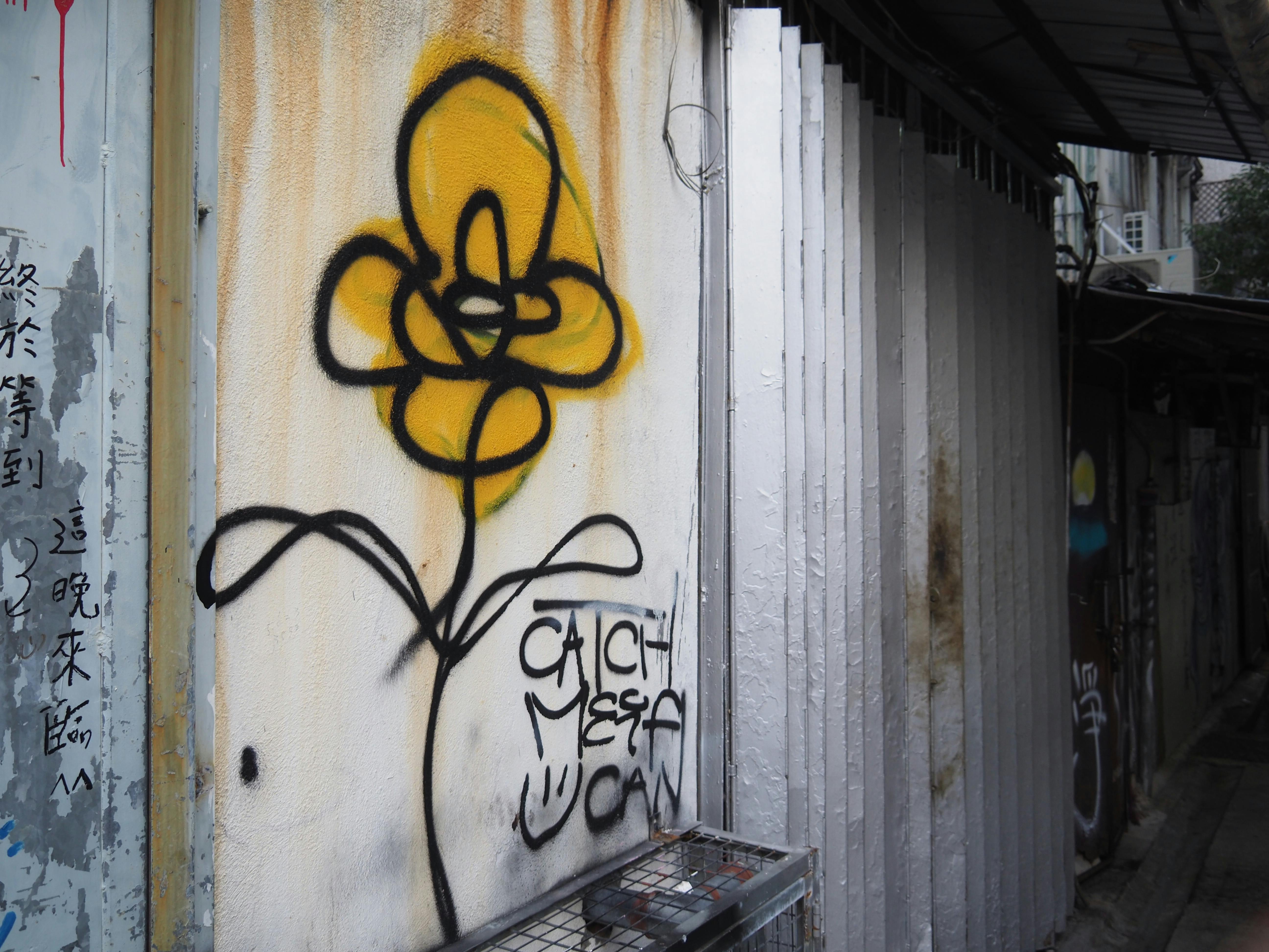 terry narcissan tsui - Fotografie